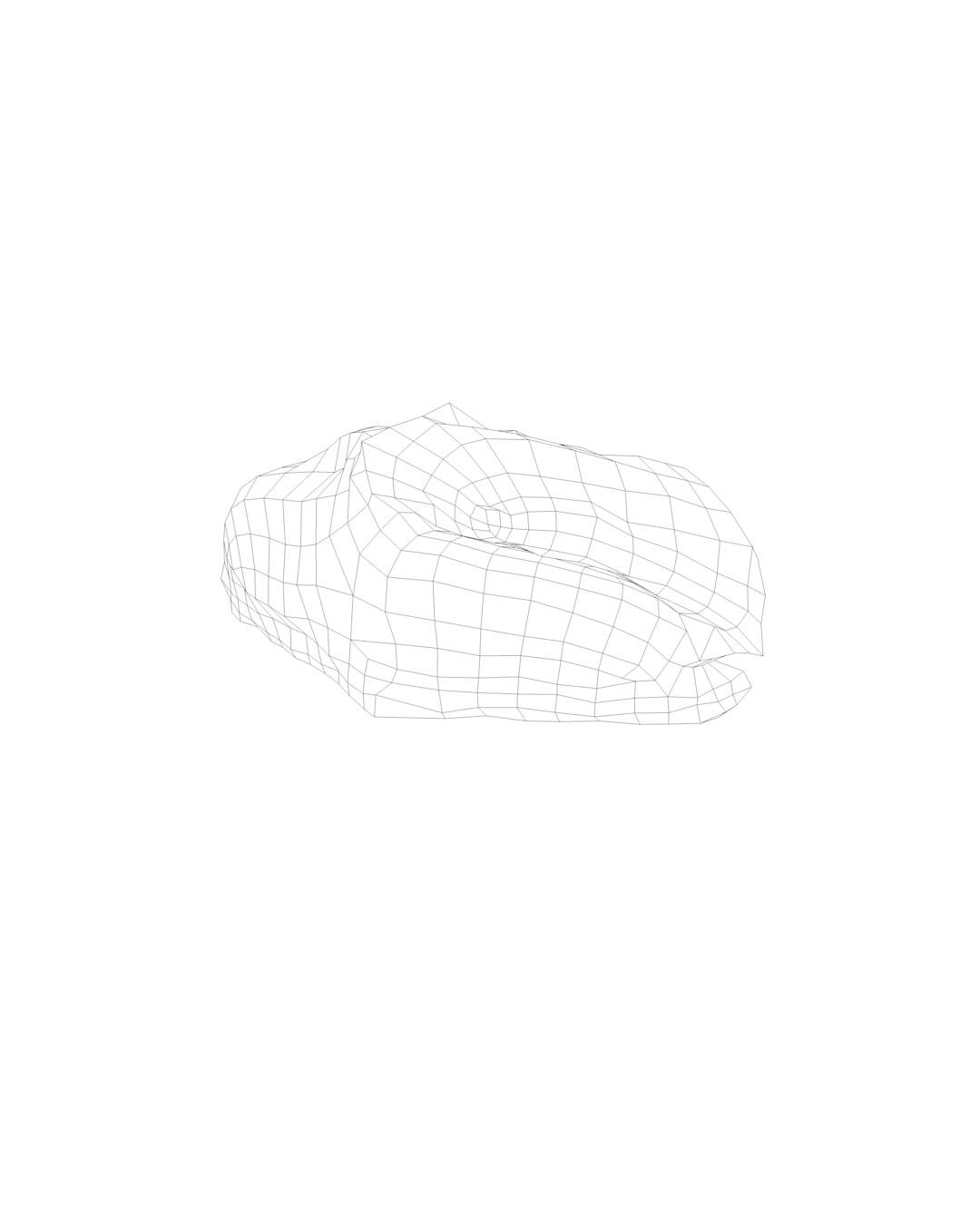Pork Meat - 3D Model by realityscanning