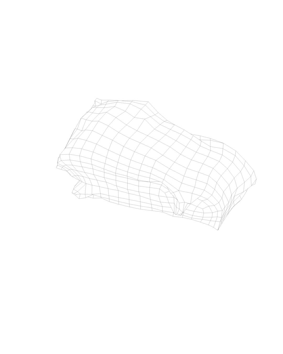 Pork Meat - 3D Model by realityscanning