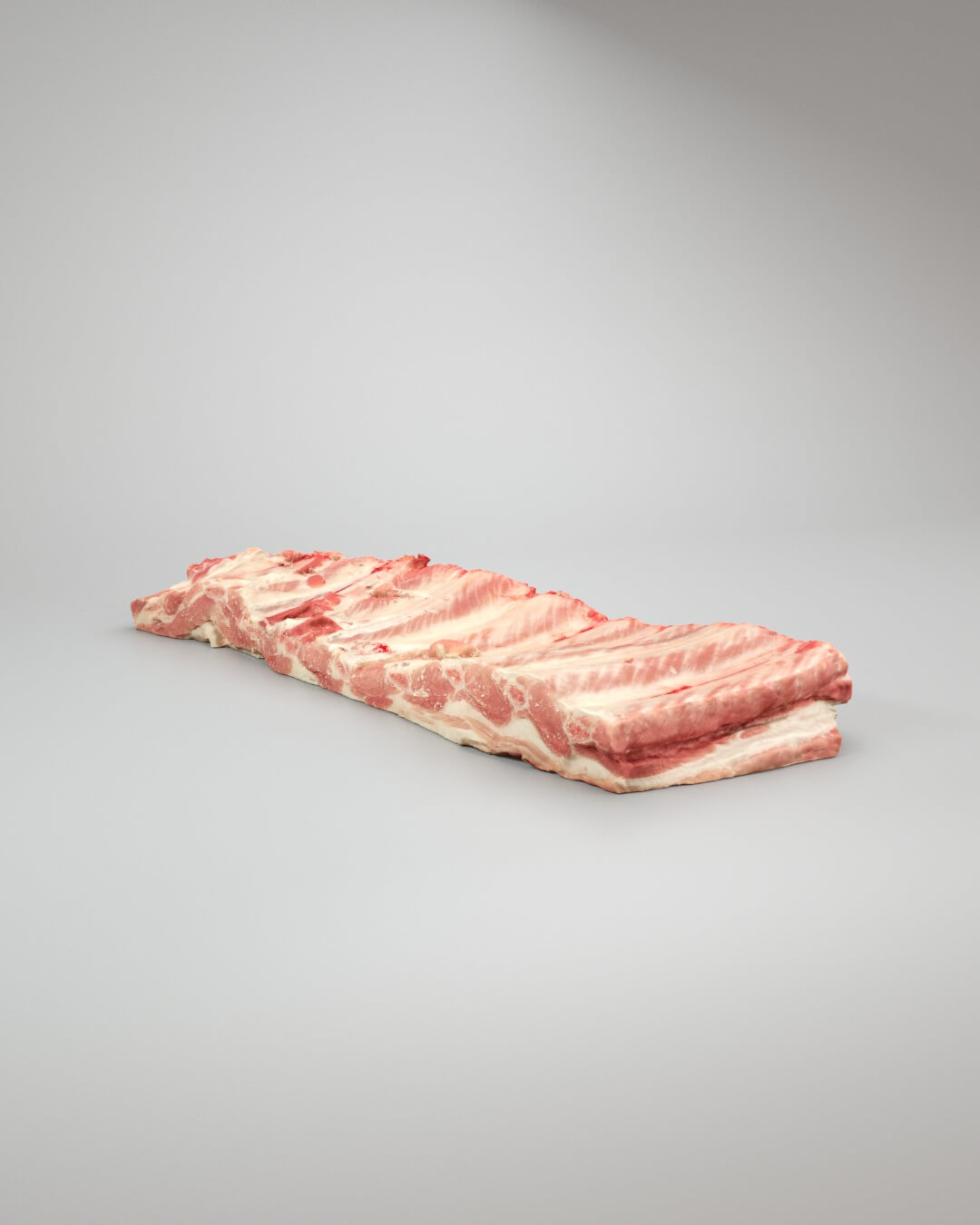 Pork Rib - 3D Model by realityscanning