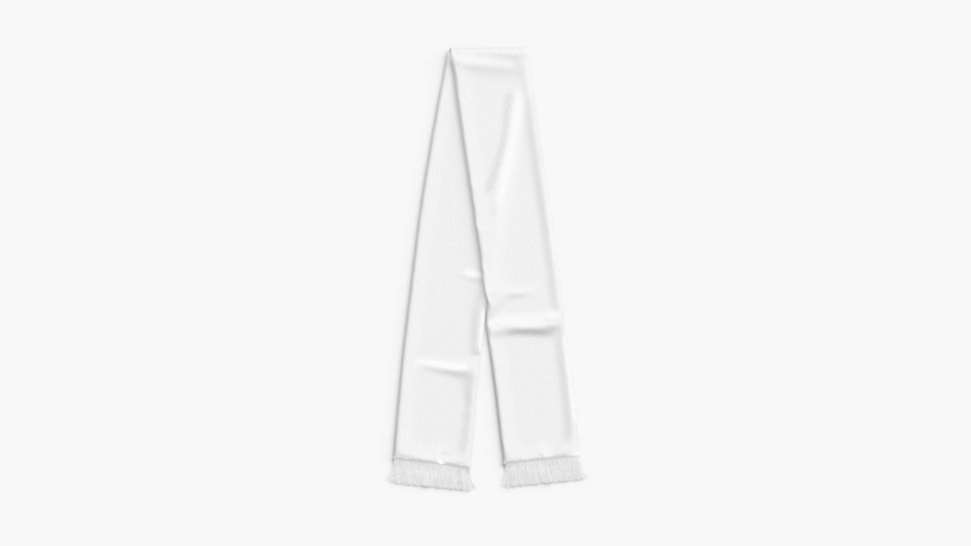 Fan Soccer Scarf Folded - 3D Model by rebrandy