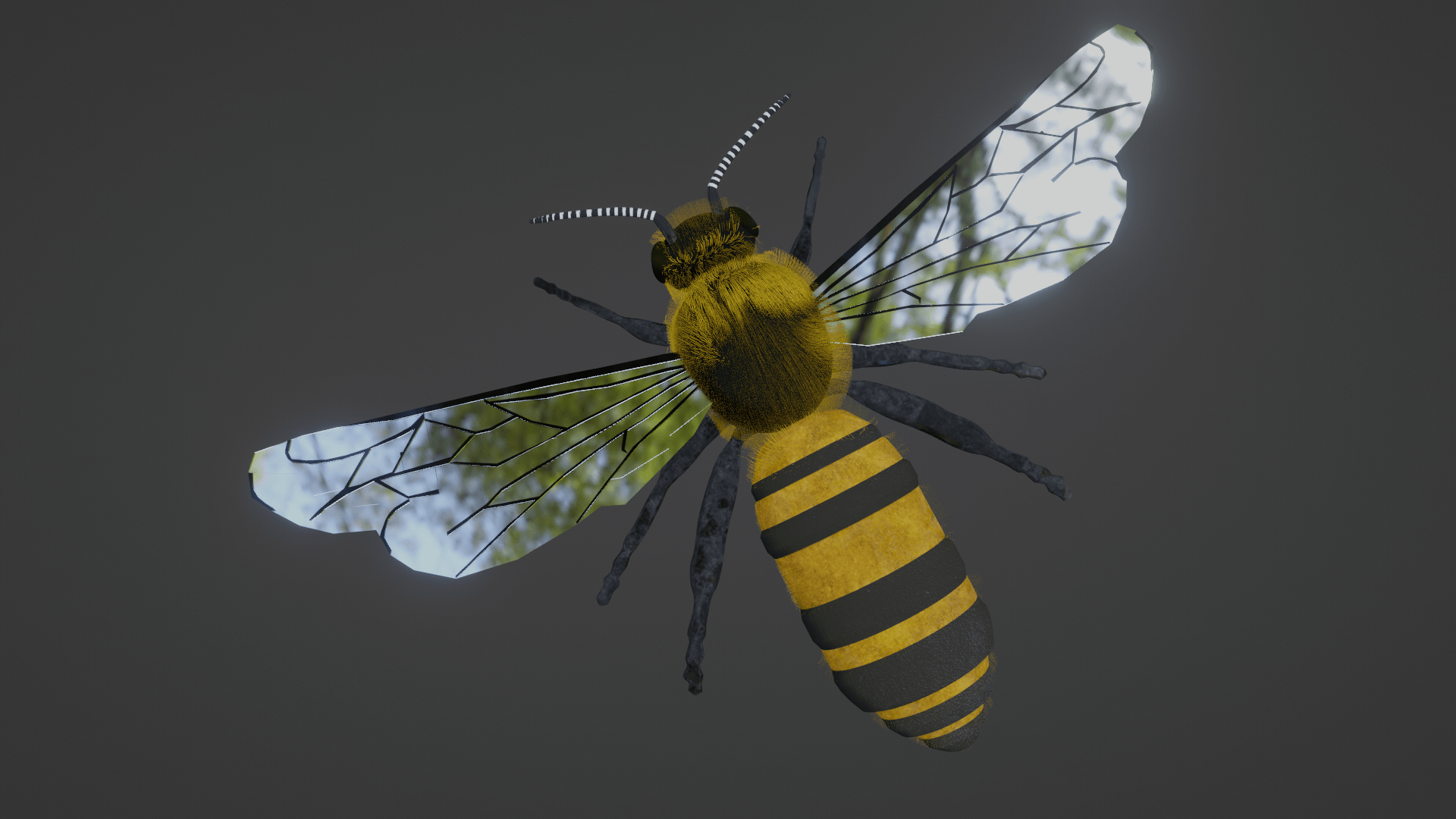 Honey bee 3D Render, Digital Art by Red_xamurai