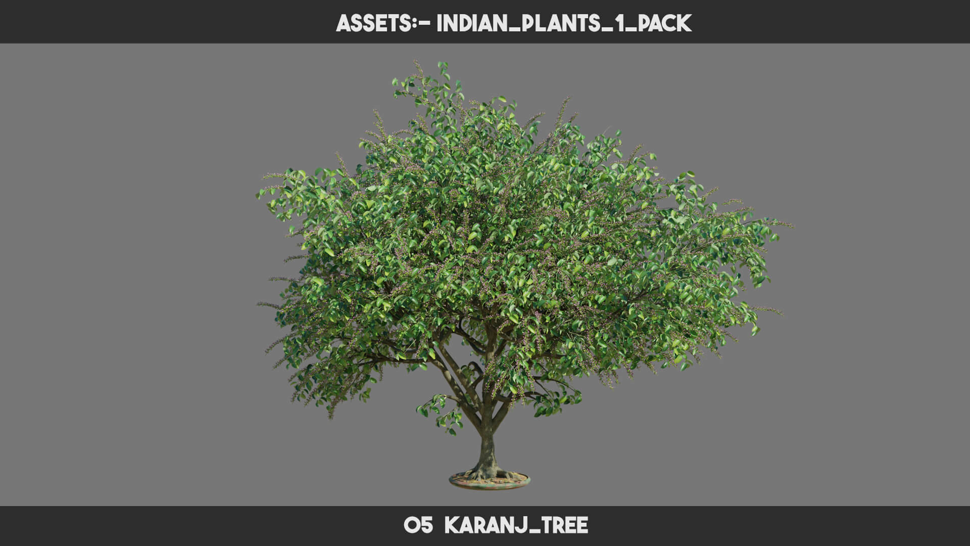 Indian Plants 1 Pack - 3D Model by redrust