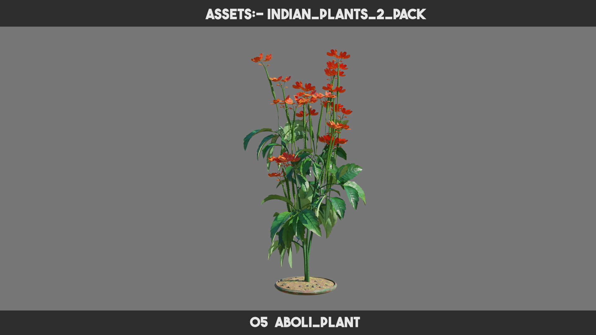 Indian Plants 2 Pack - 3D Model by redrust