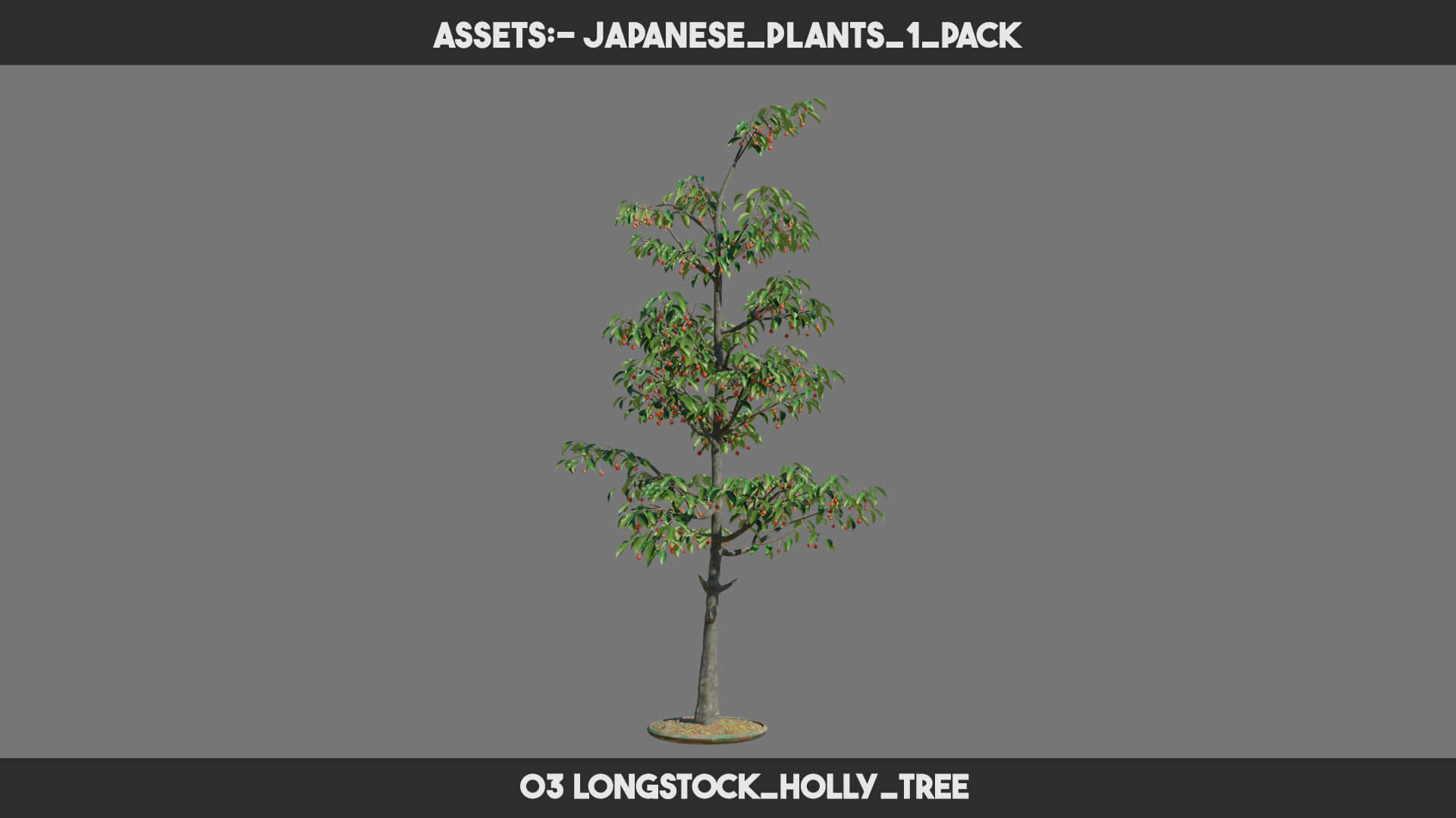 Japanese Plants 1 Pack - 3D Model by redrust