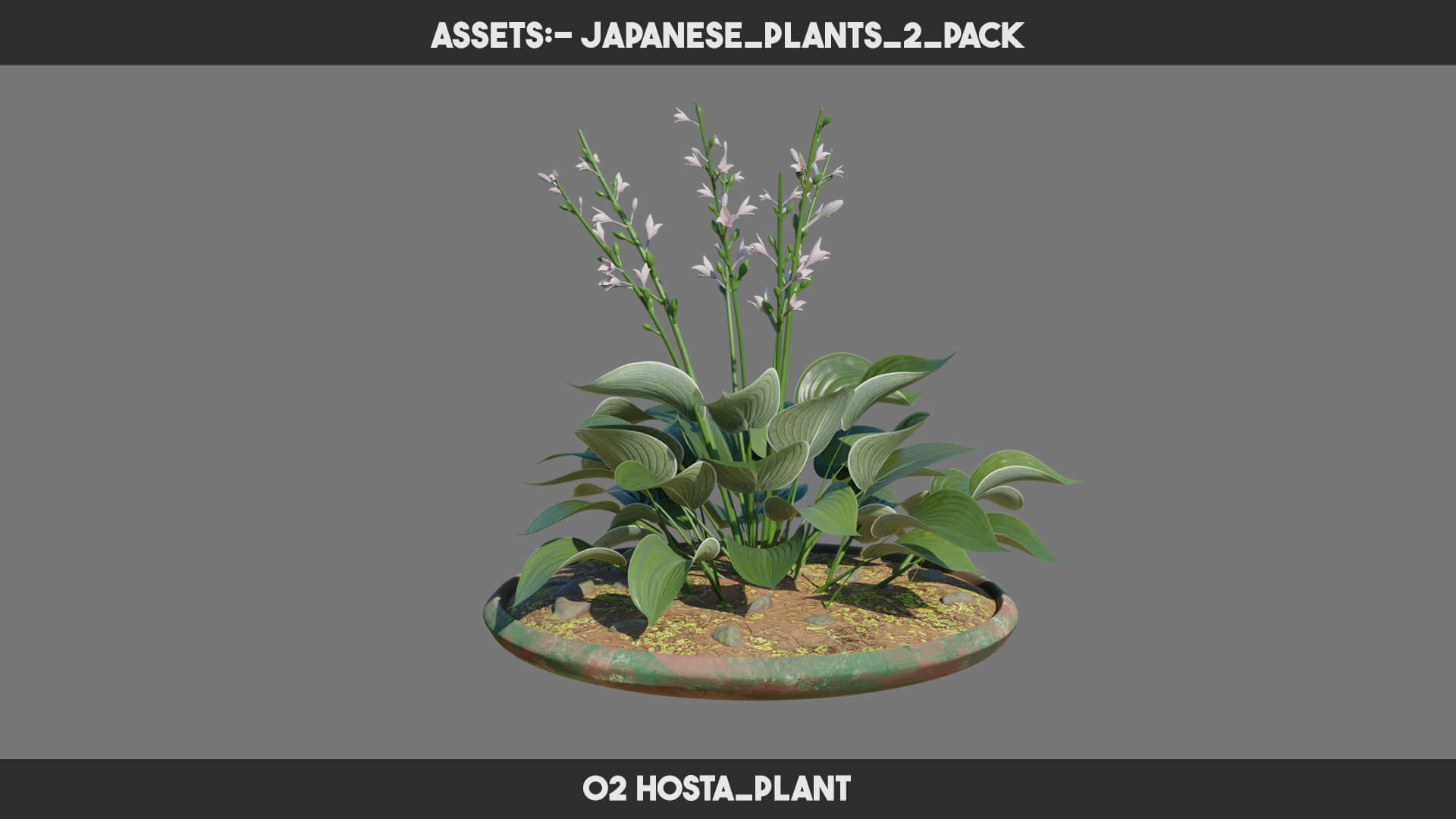 Japanese Plants Vol. 2 - 3D Model by redrust