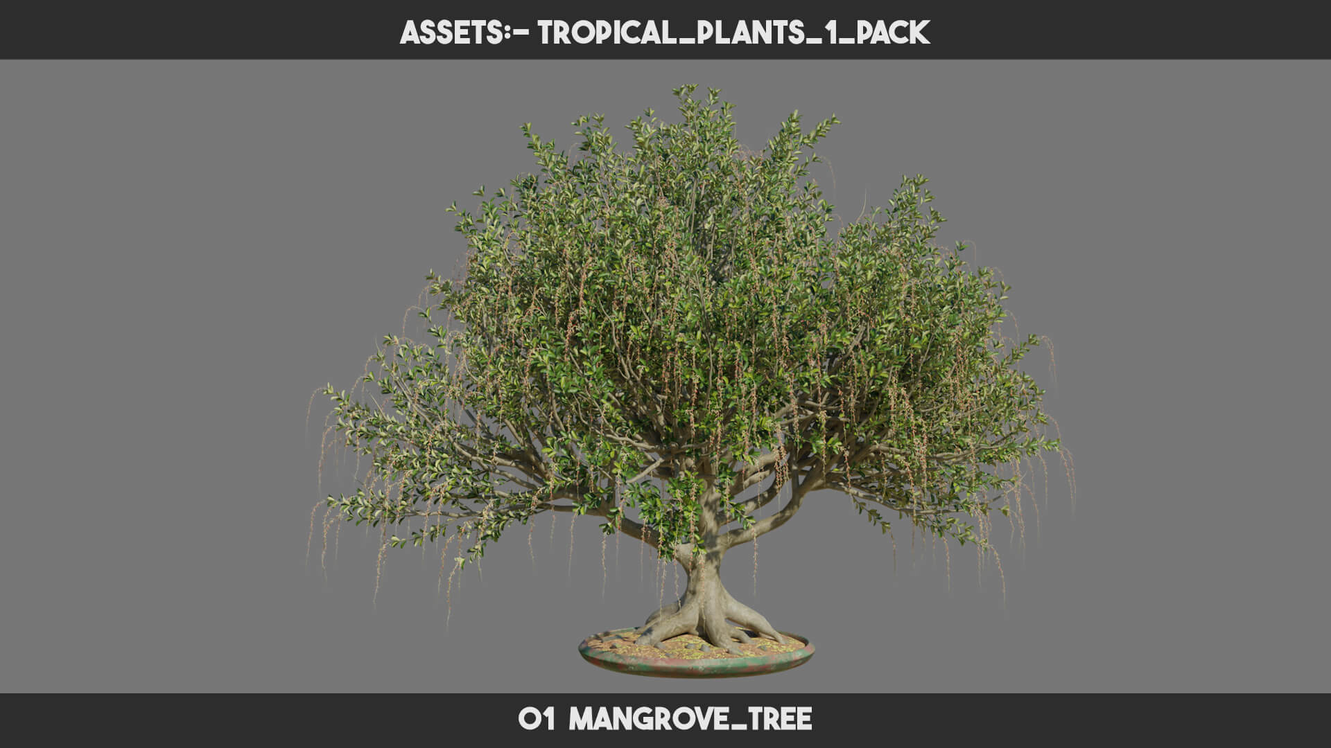 Tropical Plants Vol. 1 - 3D Model by redrust