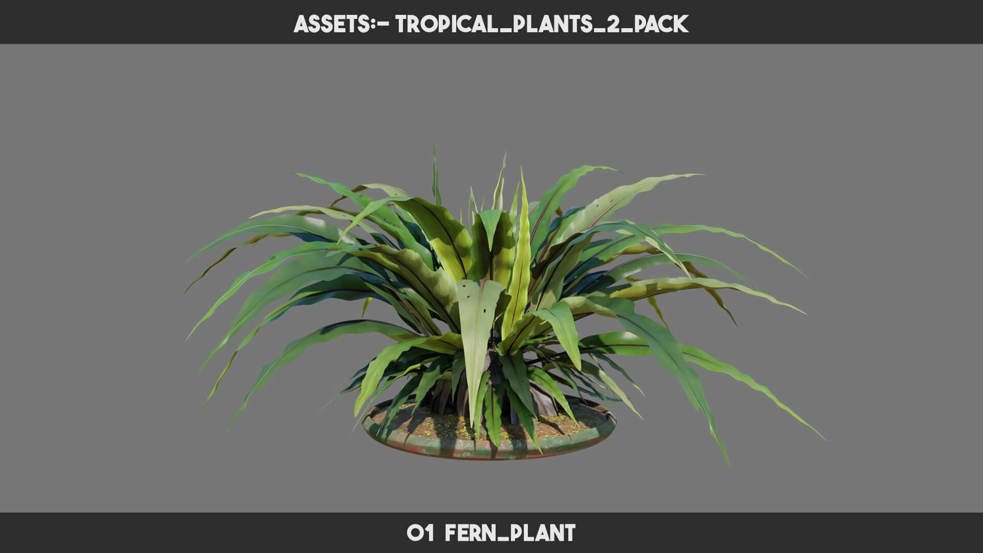 Tropical Plants 2 Pack - 3D Model by redrust