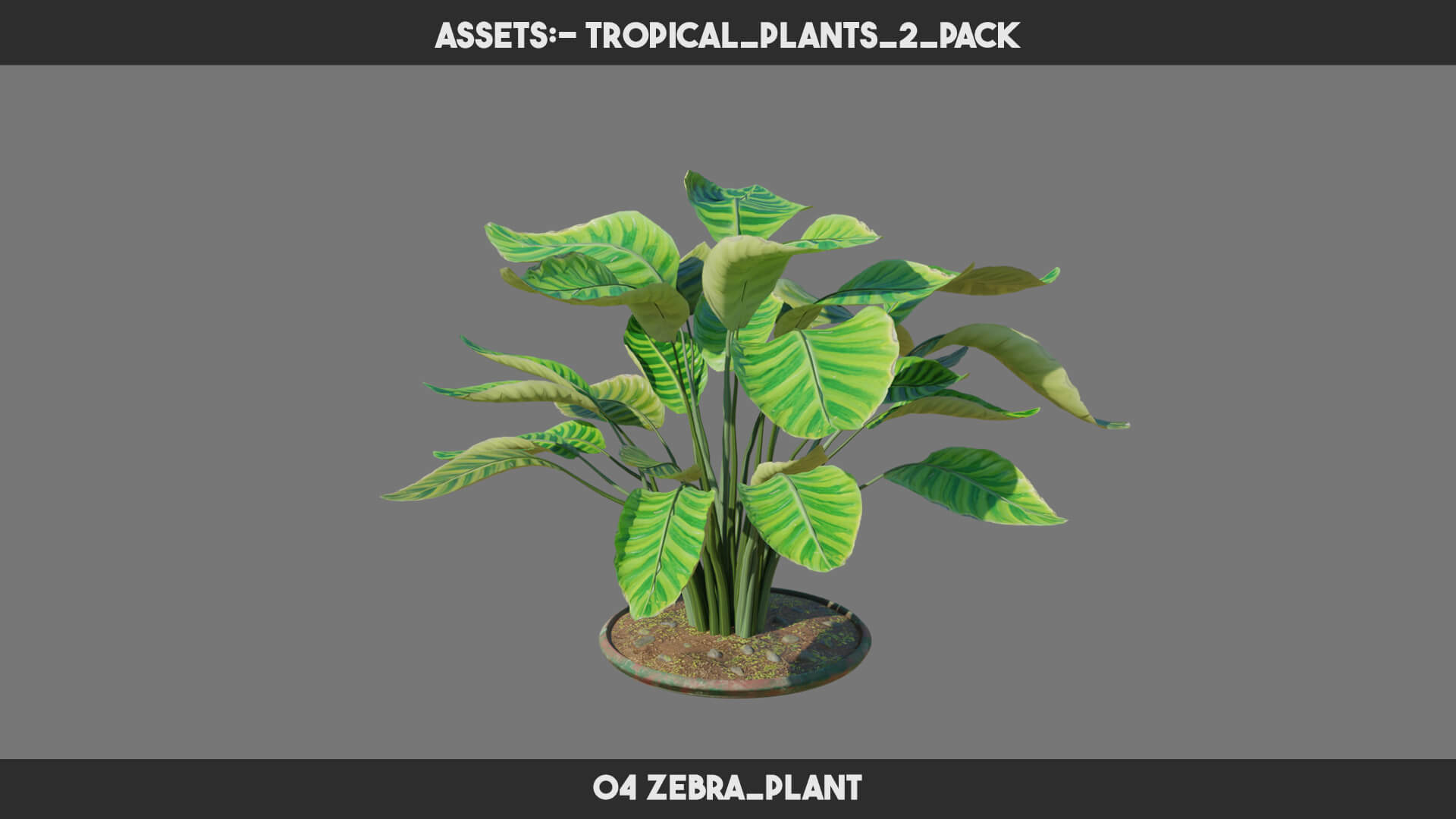 Tropical Plants 2 Pack - 3D Model by redrust