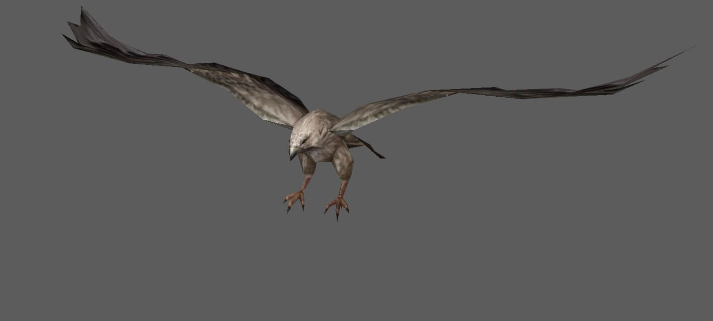 Hawk - 3D Model by reinan18