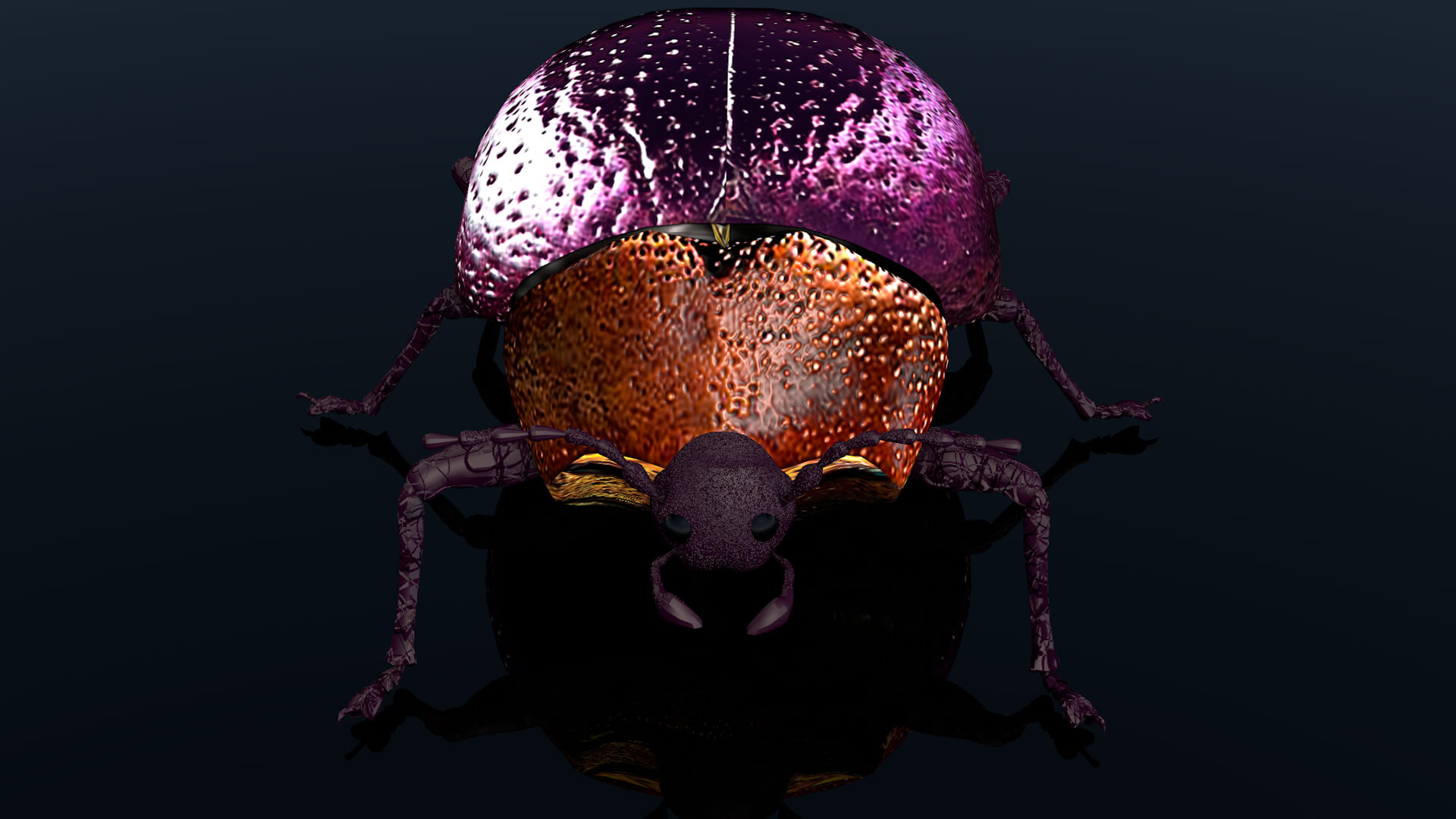 Beetle Insect - 3D Model by renatodalle