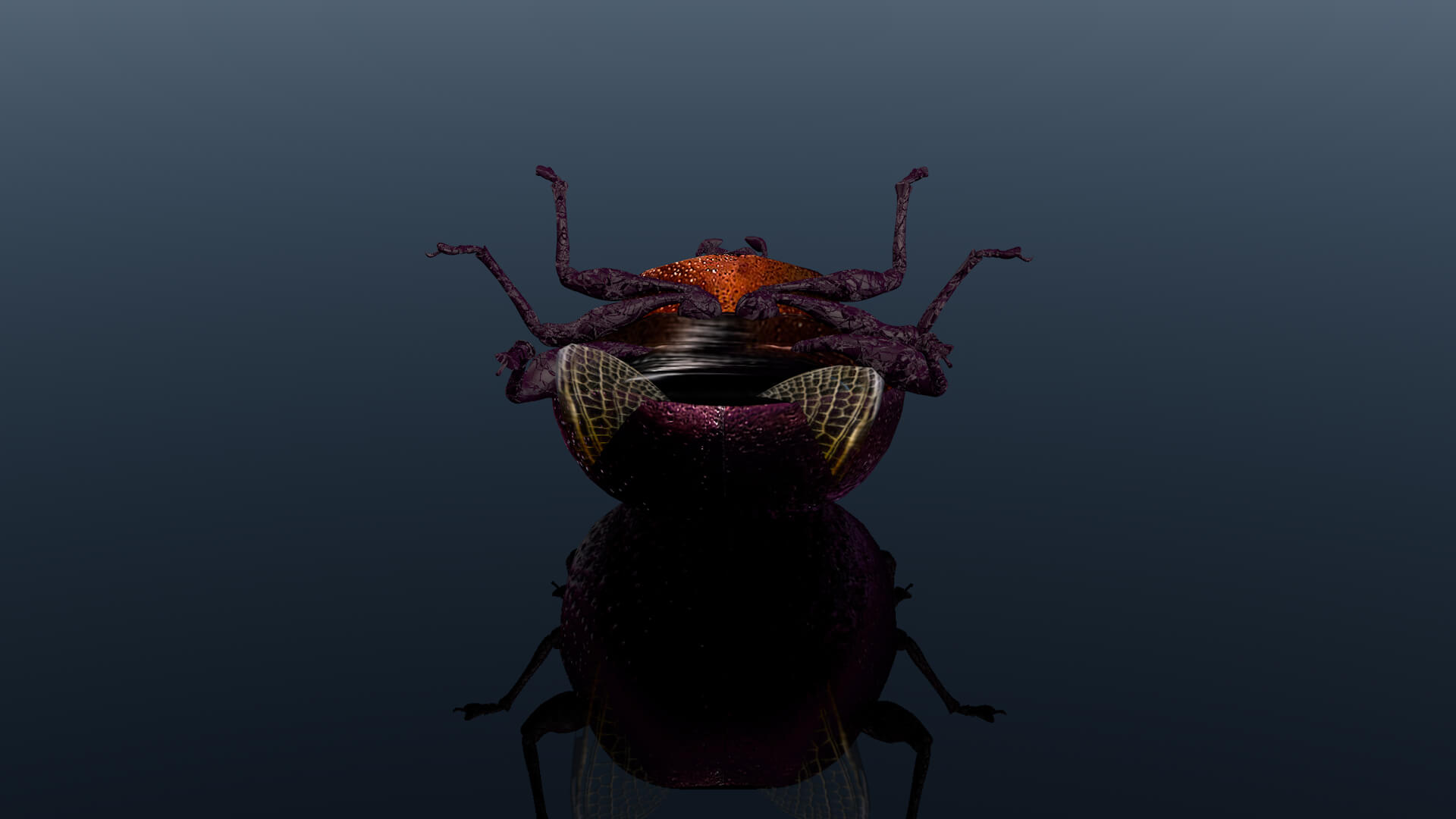 Beetle Insect - 3D Model by renatodalle