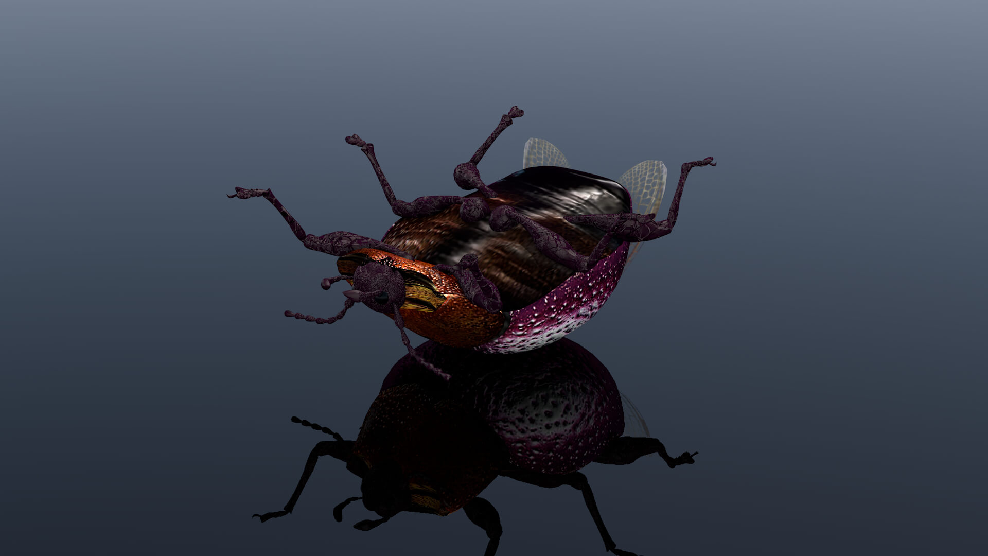 Beetle Insect - 3D Model by renatodalle