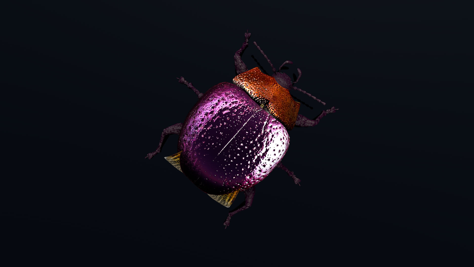 Beetle Insect - 3D Model by renatodalle