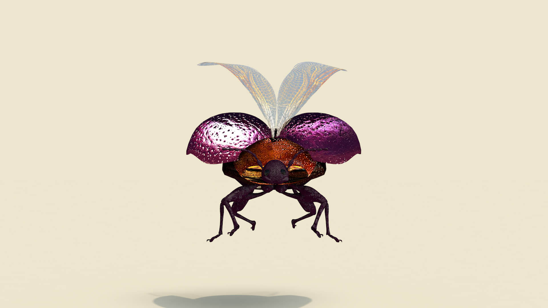 Beetle Insect - 3D Model by renatodalle