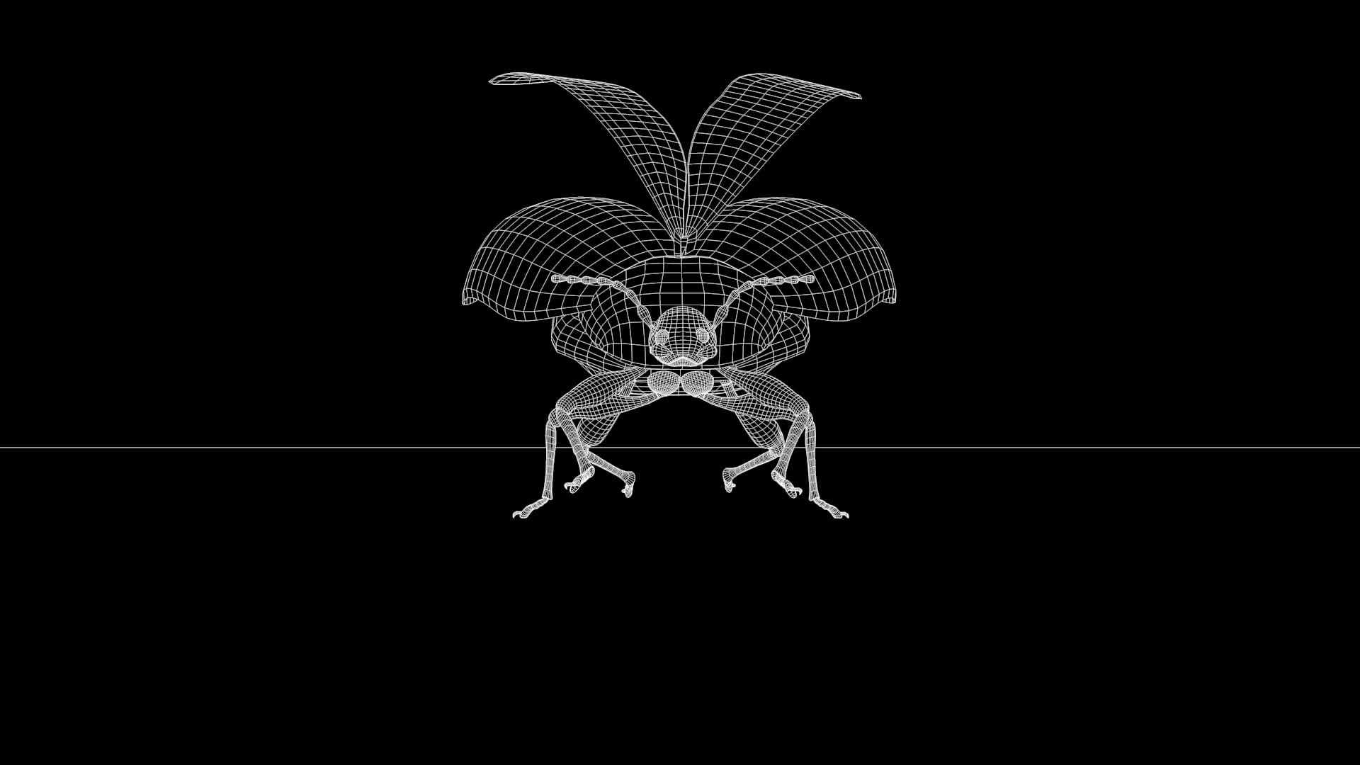 Beetle Insect - 3D Model by renatodalle