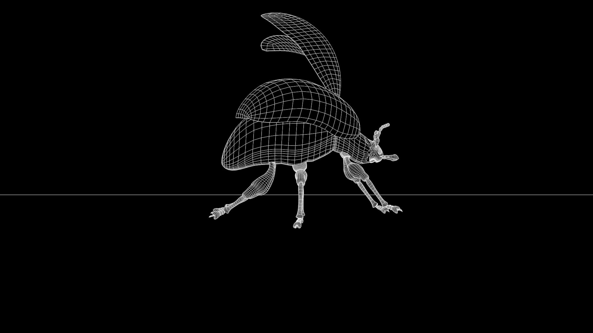 Beetle Insect - 3D Model by renatodalle