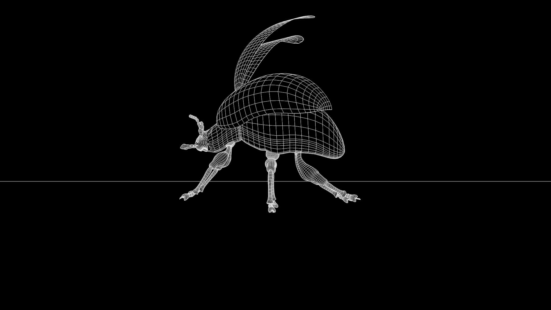 Beetle Insect - 3D Model by renatodalle