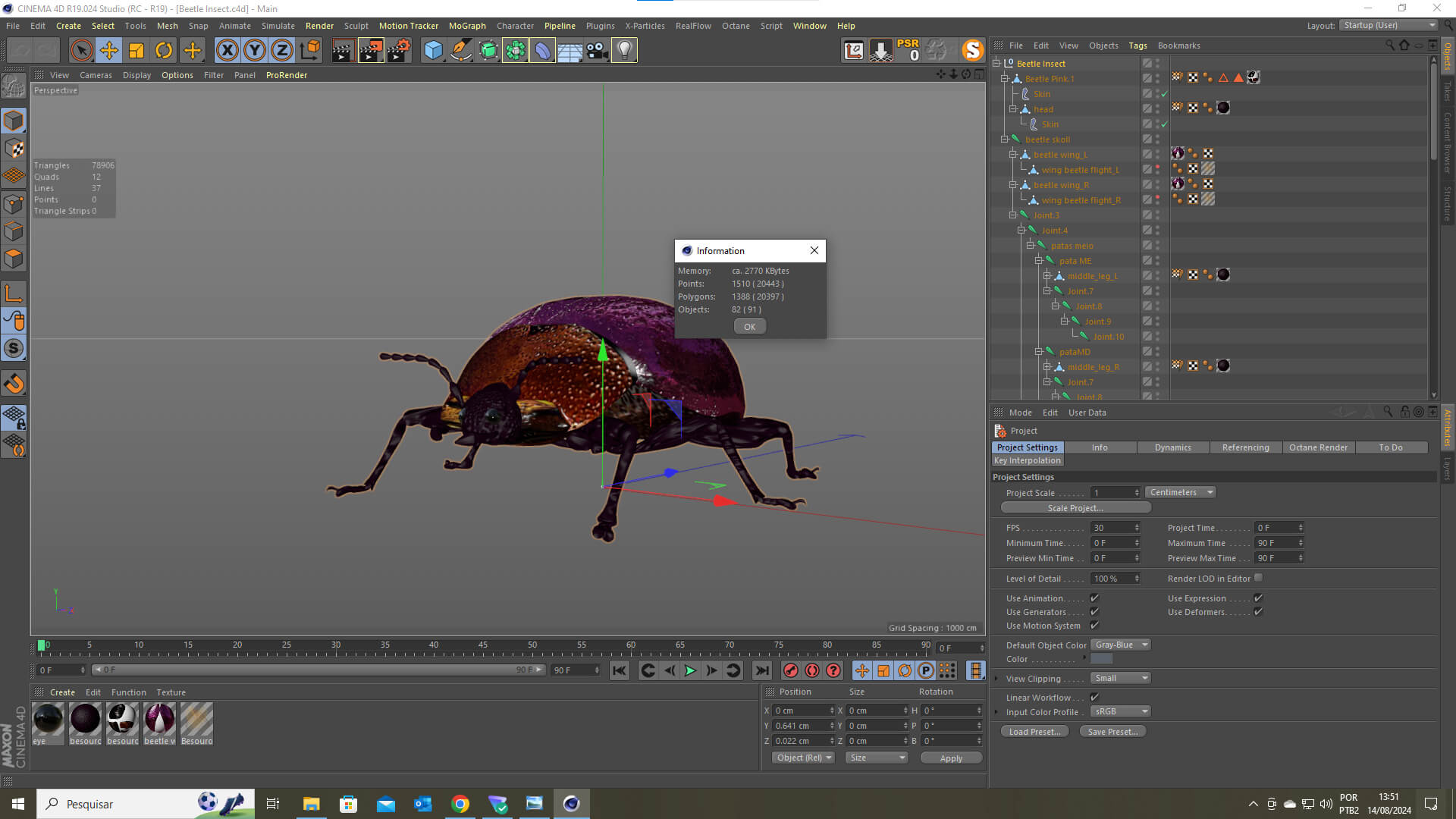Beetle Insect - 3D Model by renatodalle