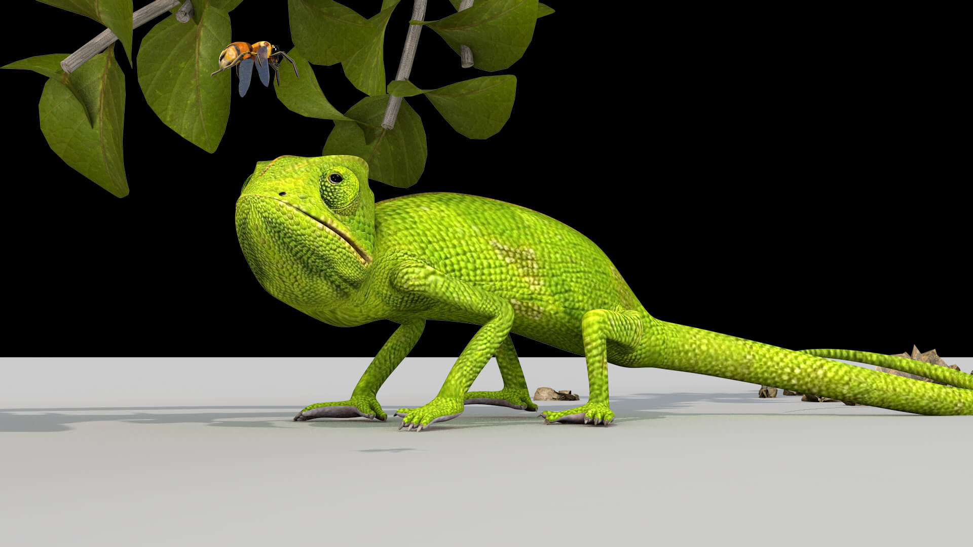 Cameleon One - 3D Model by renatodalle