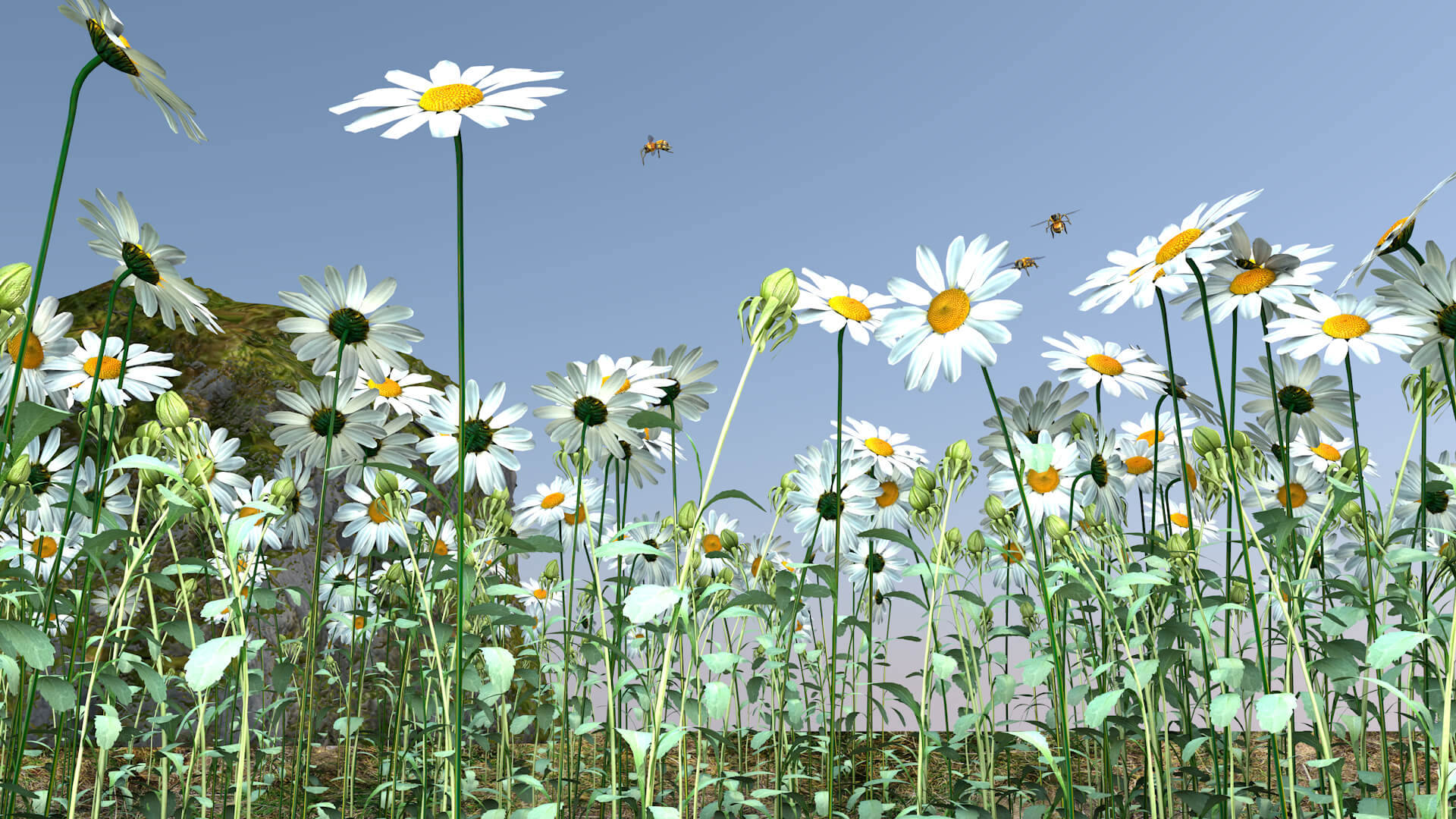 Daisy Flower Nature - 3D Model by renatodalle