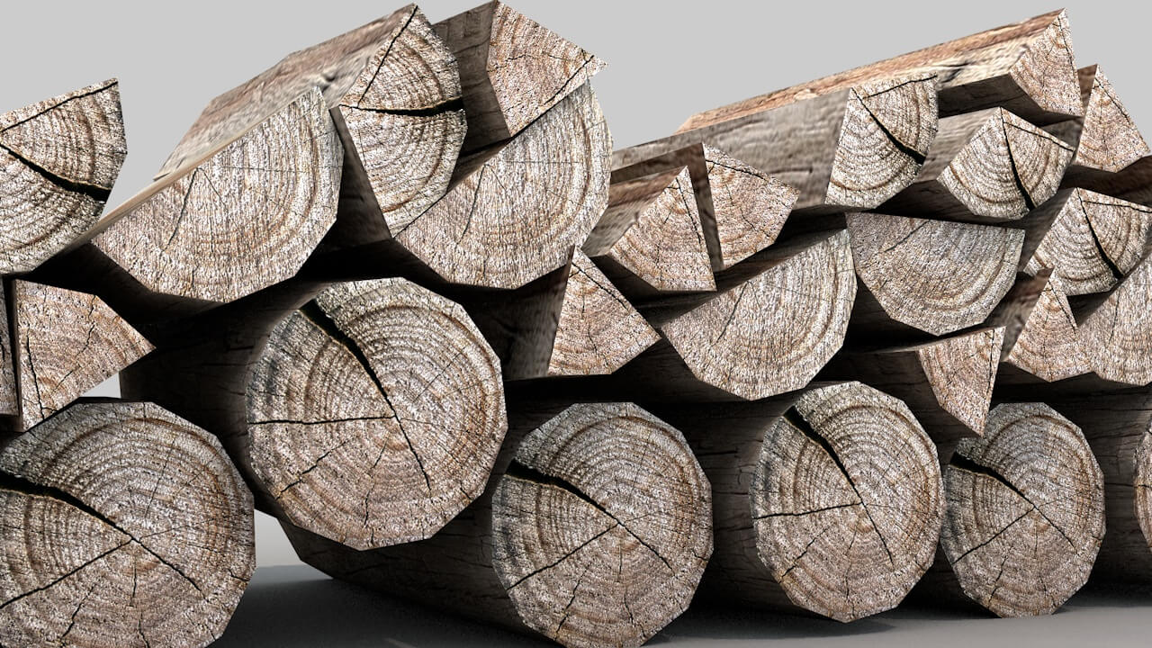 Firewood Nature - 3D Model by renatodalle