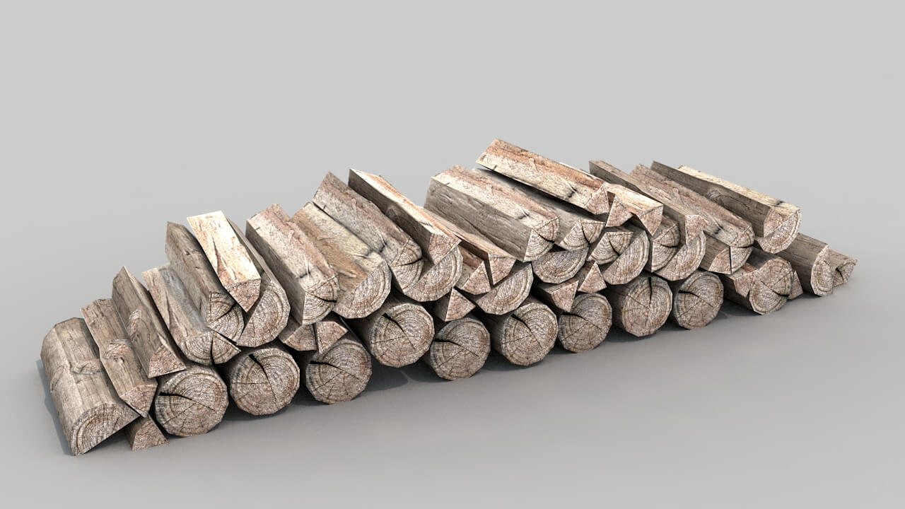 Firewood Nature - 3D Model by renatodalle