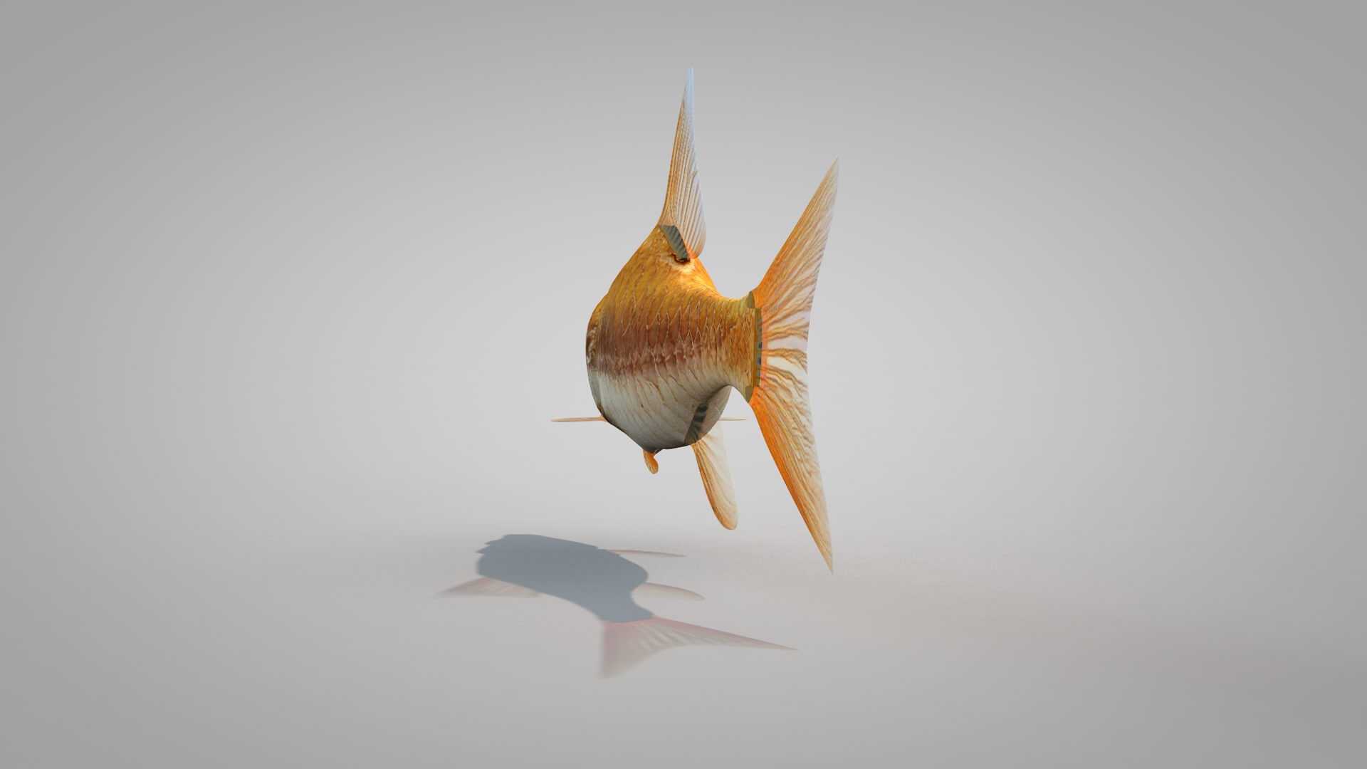 Fish Dourado - 3D Model by renatodalle