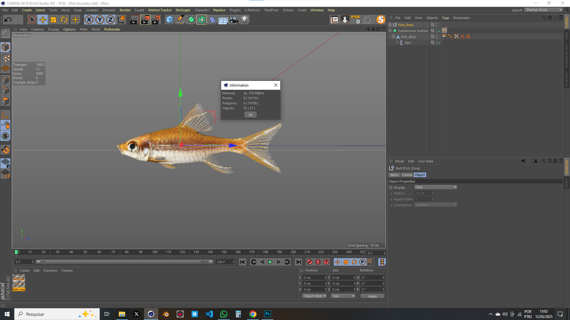 Fish Dourado - 3D Model by renatodalle