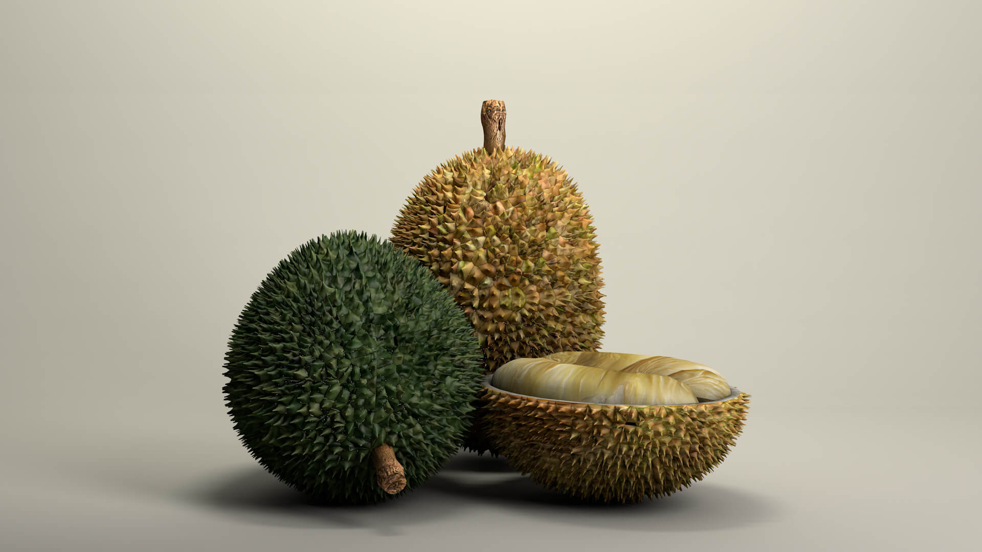 Fruit Durian Exotic - 3D Model by renatodalle