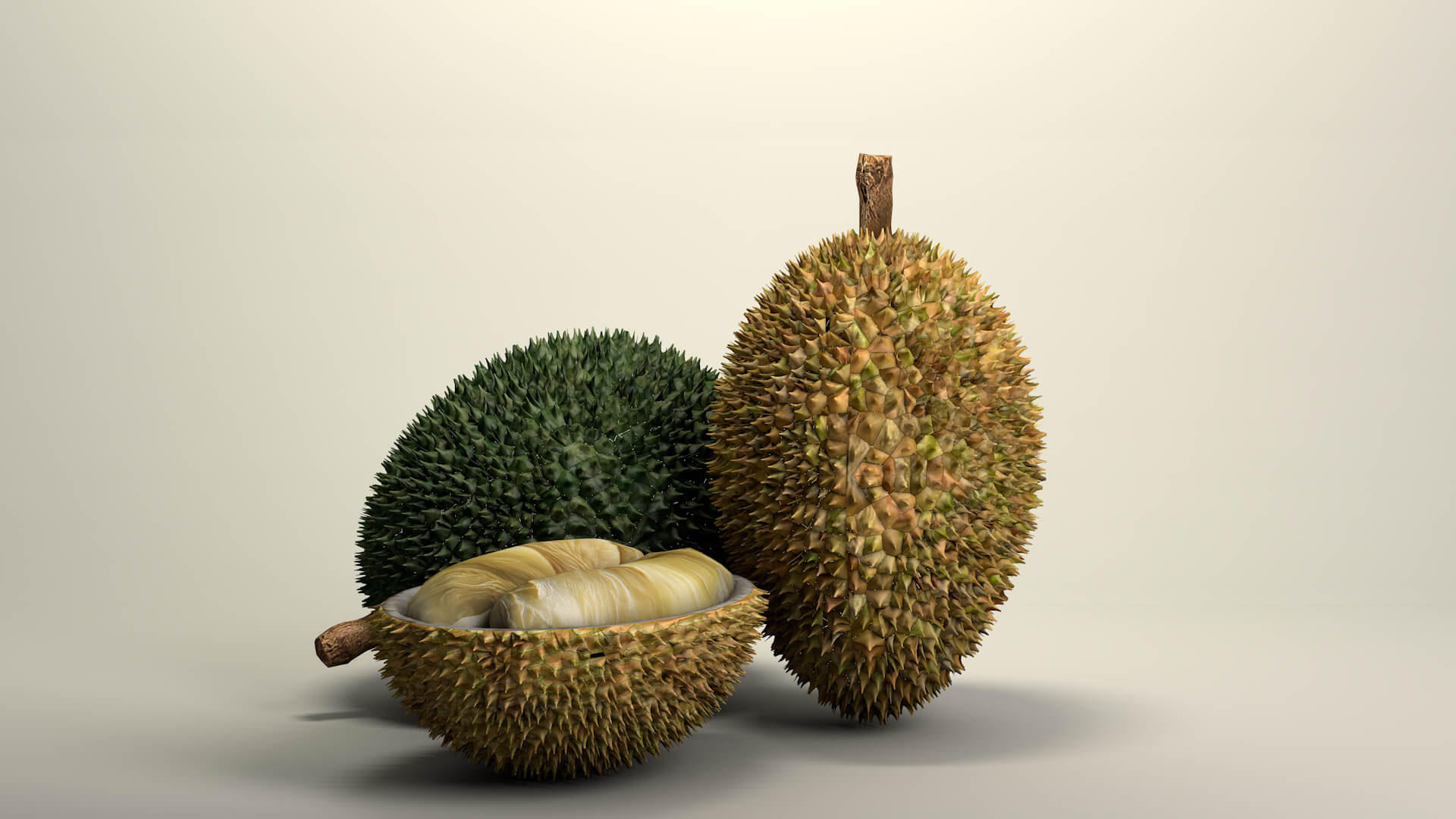 Fruit Durian Exotic - 3D Model by renatodalle