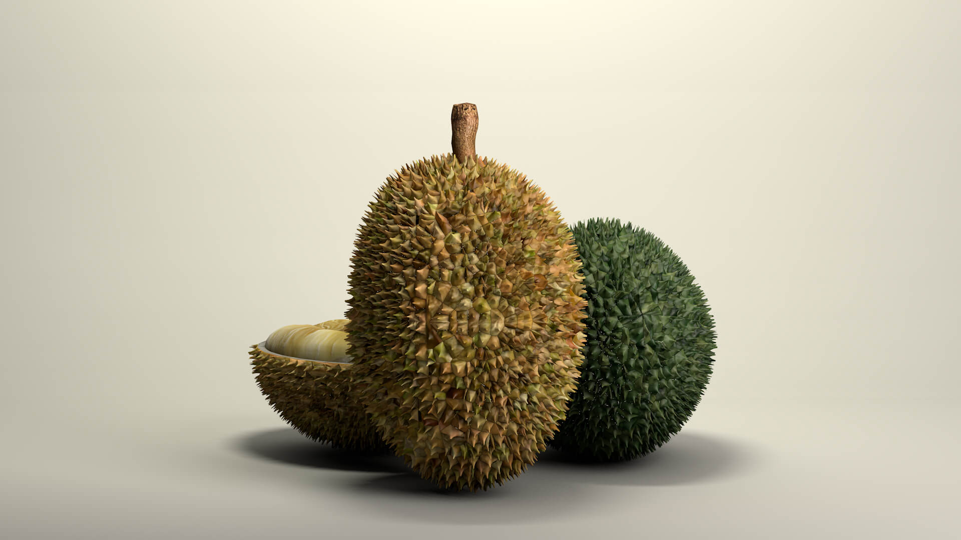 Fruit Durian Exotic - 3D Model by renatodalle