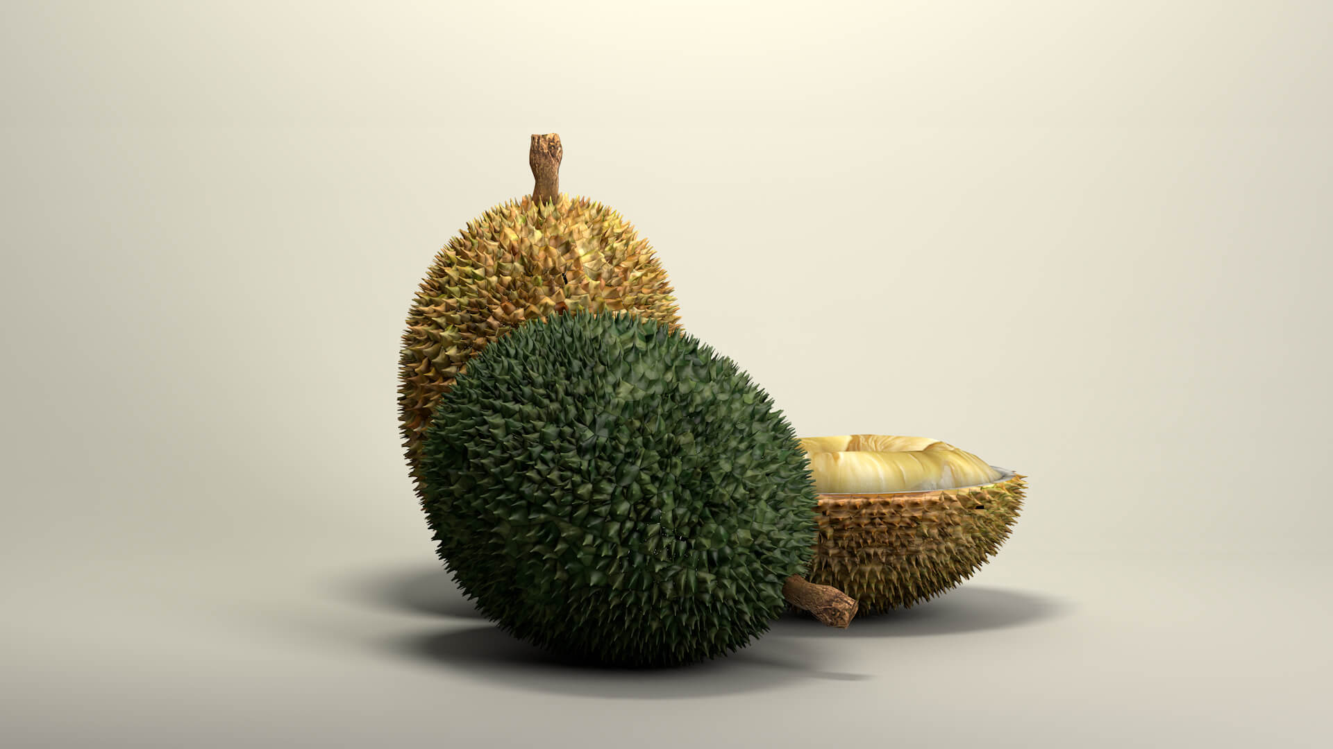 Fruit Durian Exotic - 3D Model by renatodalle