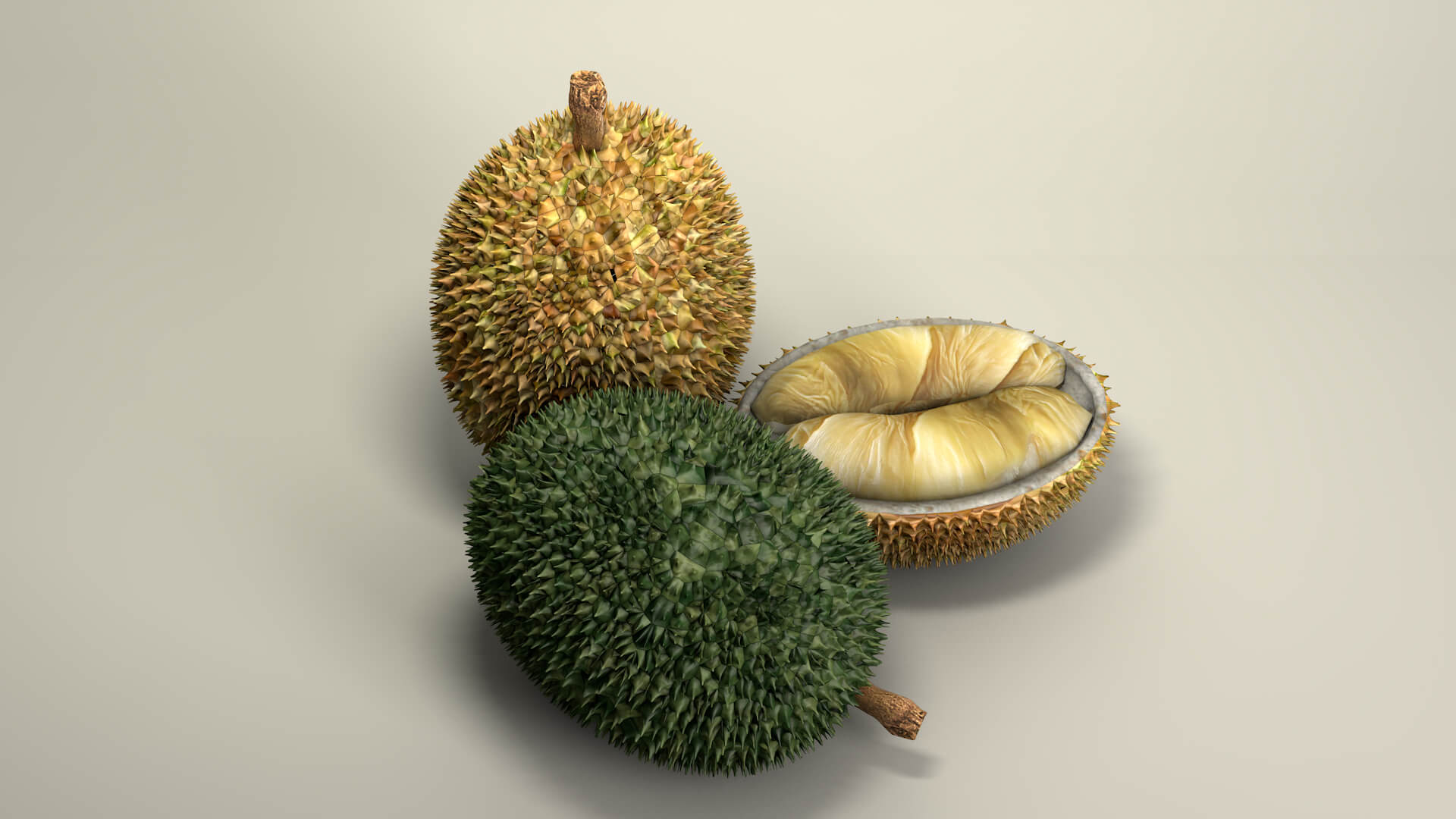 Fruit Durian Exotic - 3D Model by renatodalle