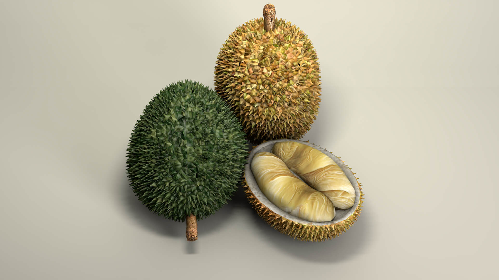 Fruit Durian Exotic - 3D Model by renatodalle
