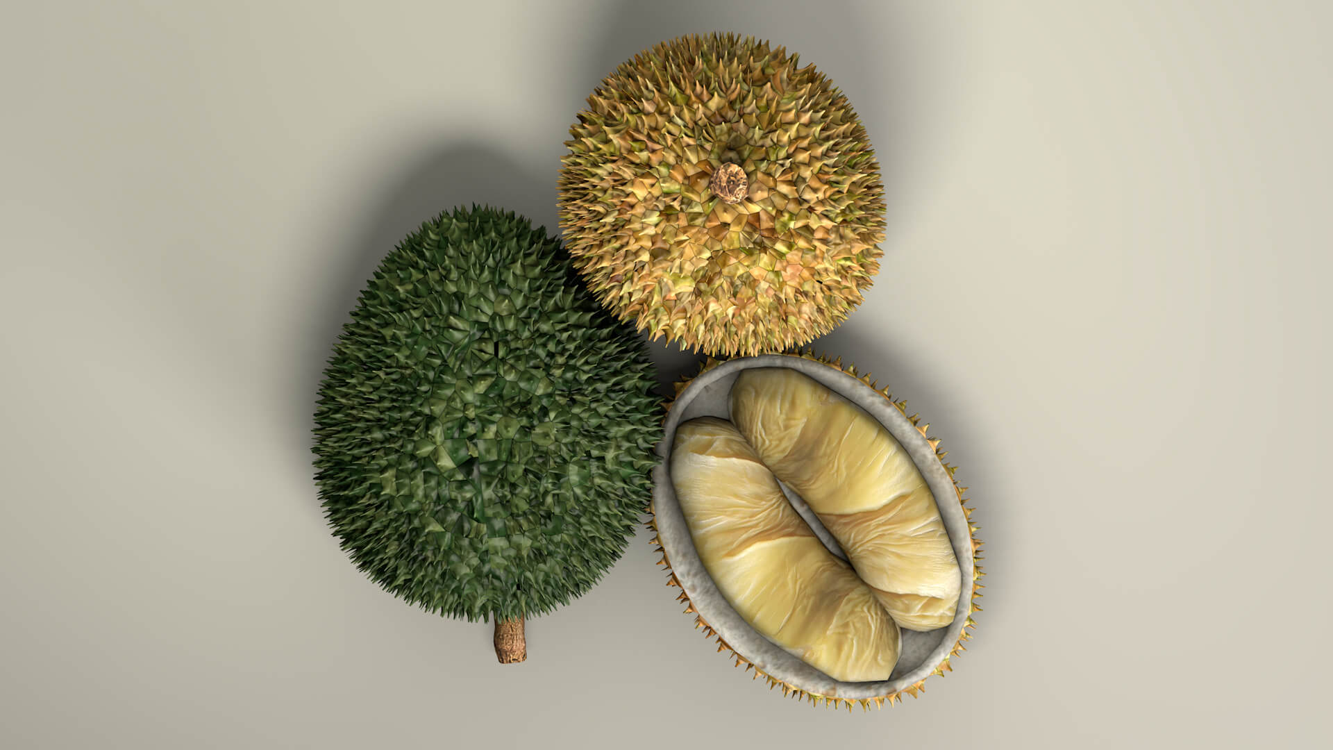Fruit Durian Exotic - 3D Model by renatodalle