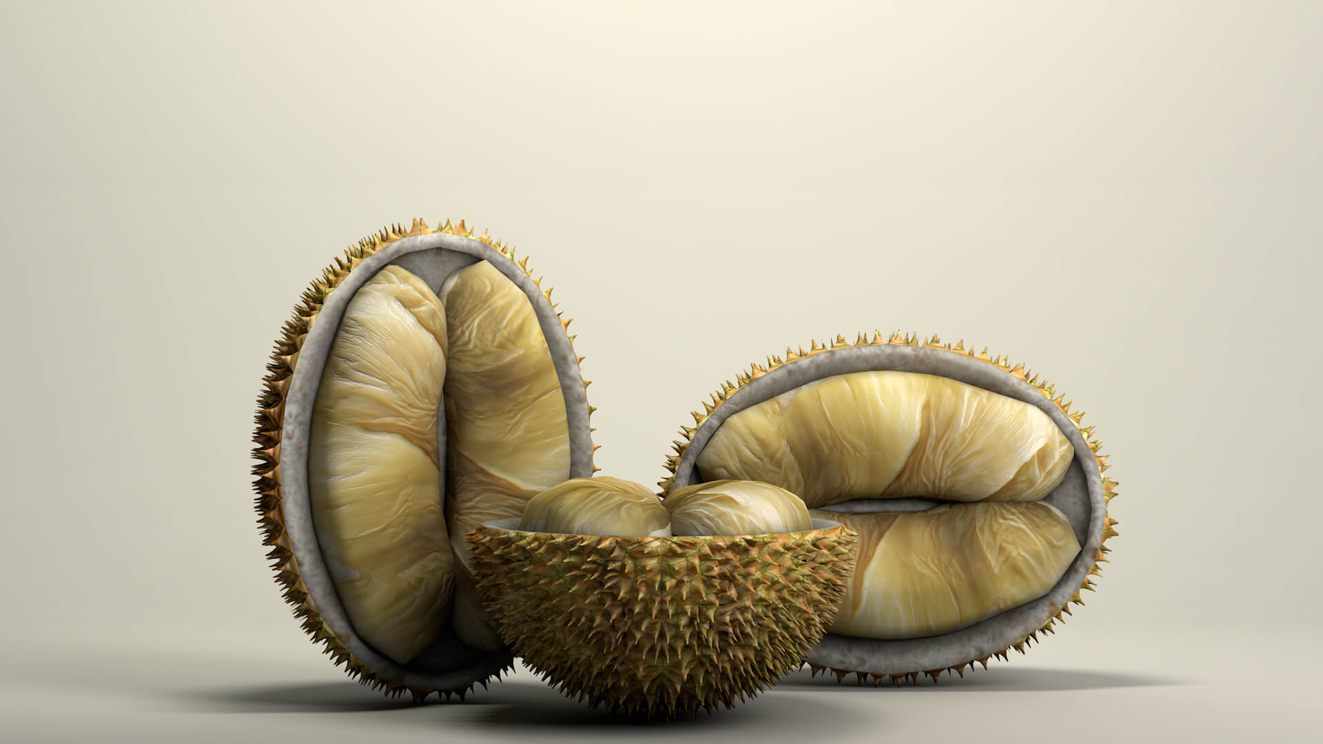 Fruit Durian Exotic - 3D Model by renatodalle