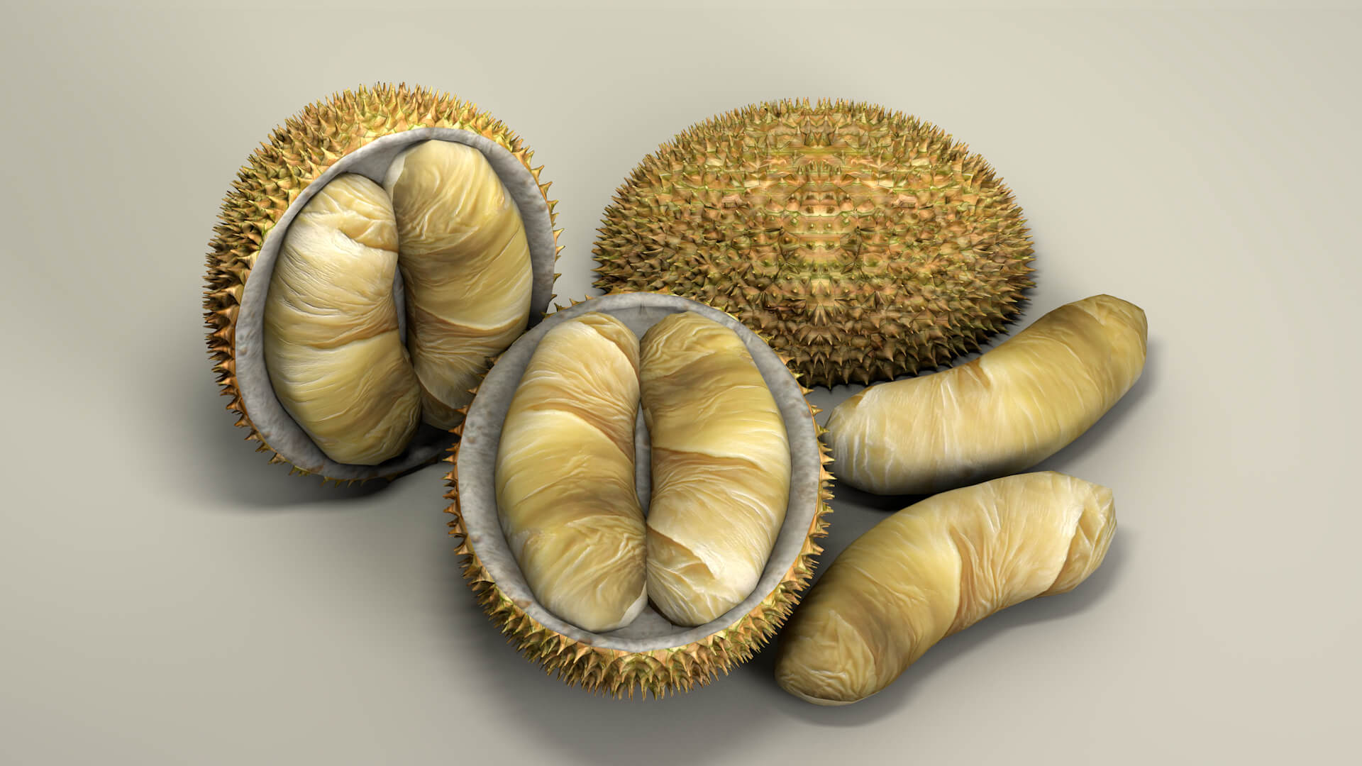 Fruit Durian Exotic - 3D Model by renatodalle