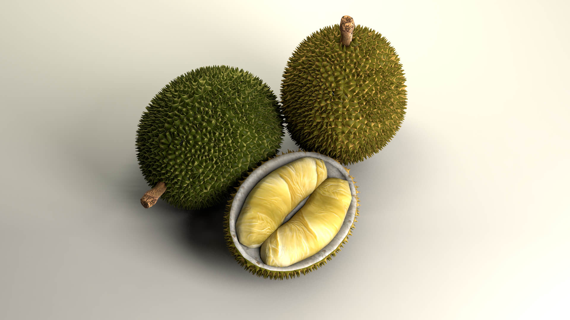 Fruit Durian - 3D Model by renatodalle