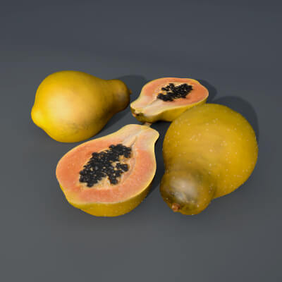 Fruit Papaya - 3D Model by renatodalle
