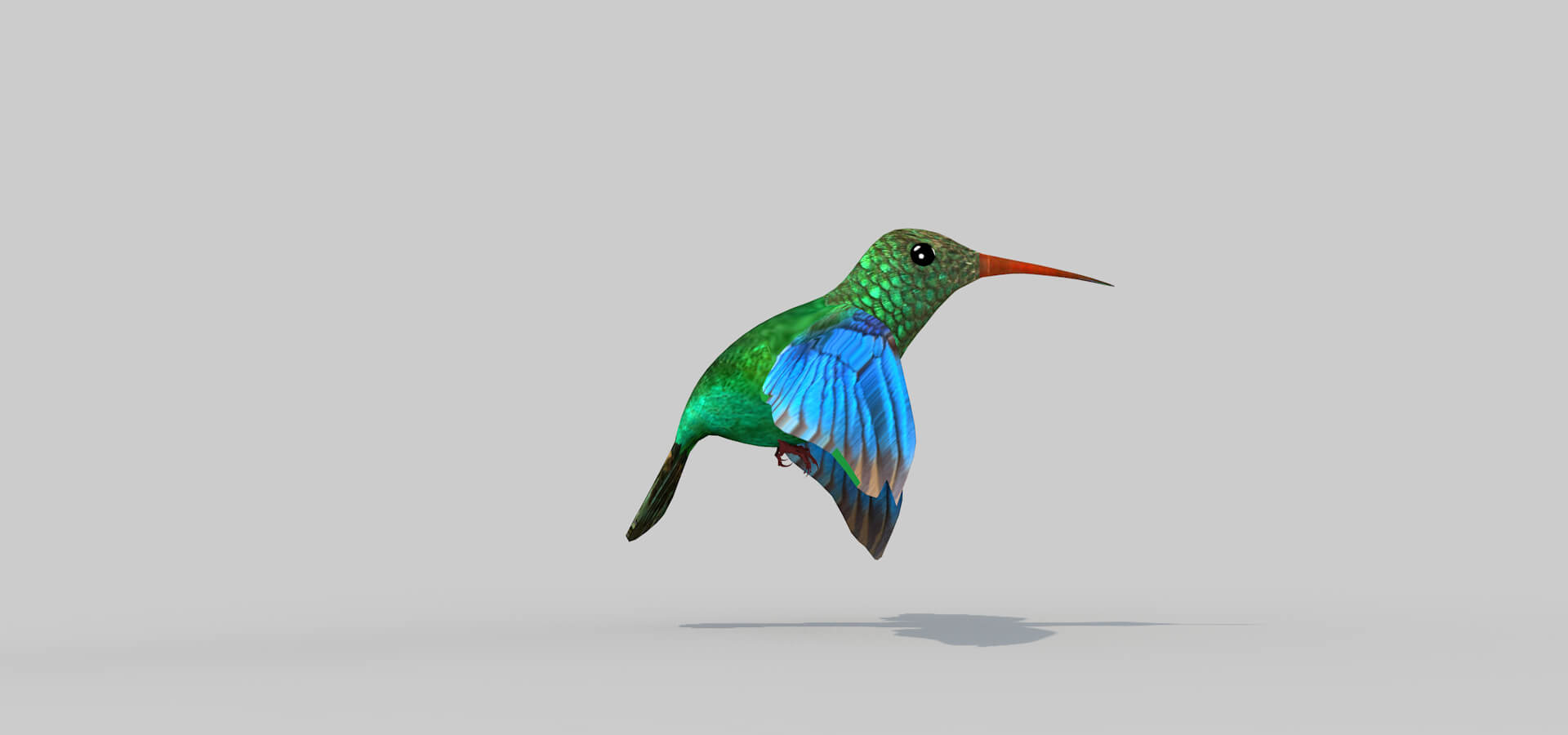 Hummingbird Two - 3D Model by renatodalle