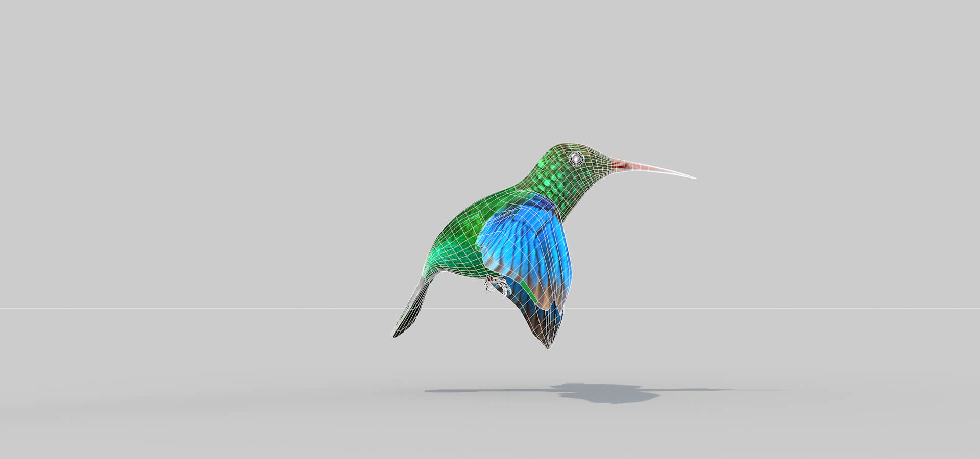 Hummingbird Two - 3D Model by renatodalle
