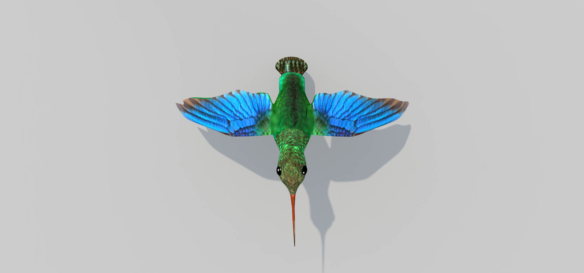 Hummingbird Two - 3D Model by renatodalle