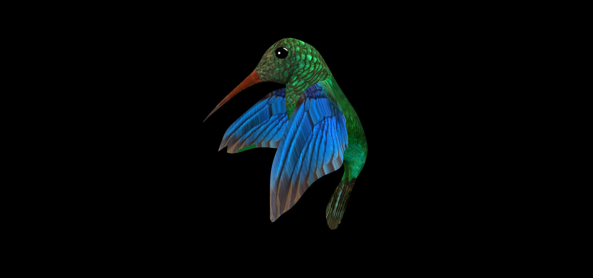 Hummingbird Two - 3D Model by renatodalle