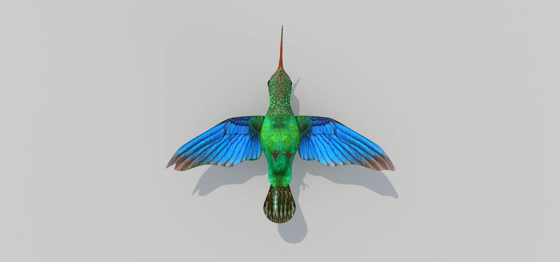 Hummingbird Two - 3D Model by renatodalle