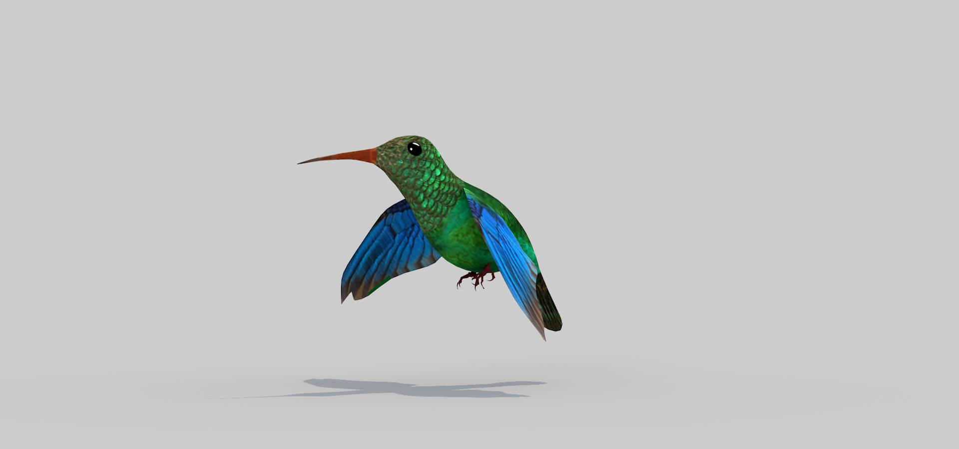 Hummingbird Two - 3D Model by renatodalle
