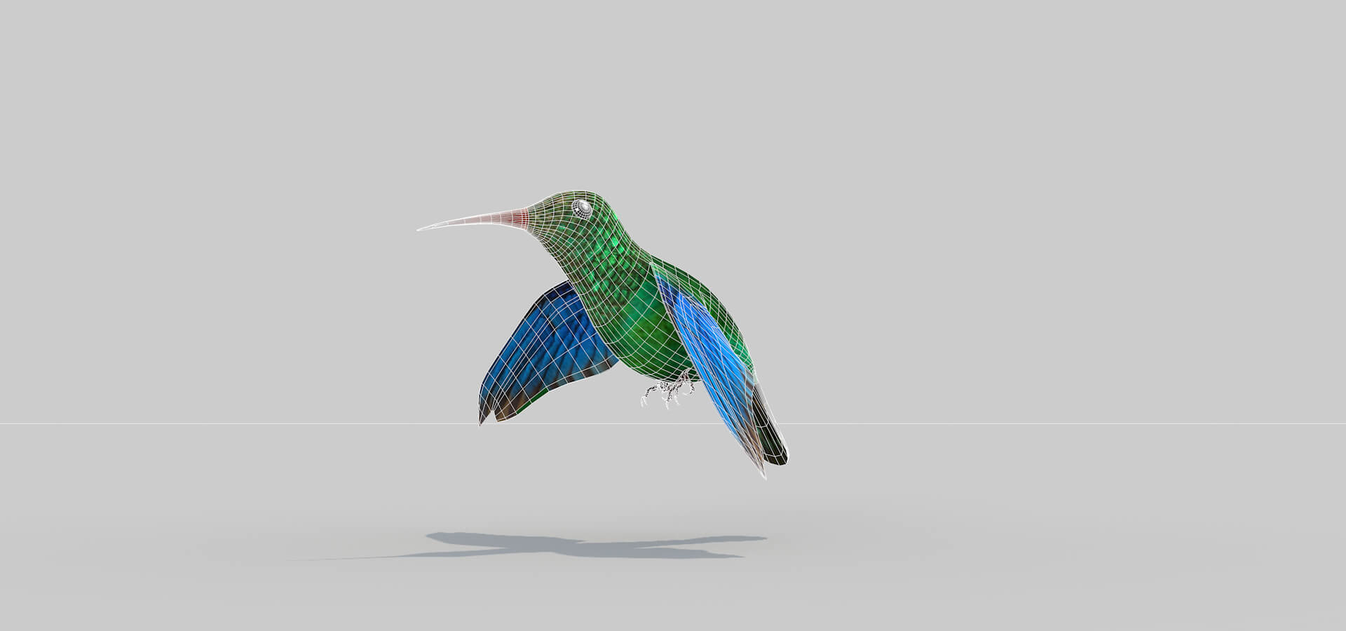 Hummingbird Two - 3D Model by renatodalle