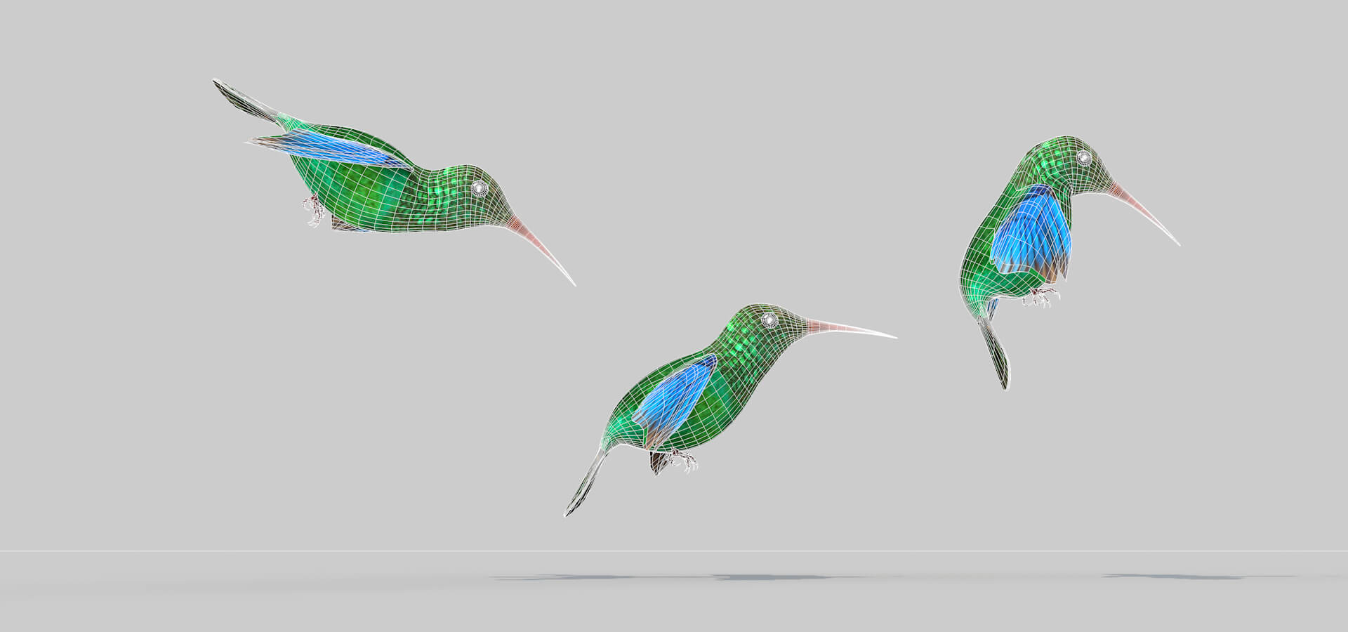 Hummingbird Two - 3D Model by renatodalle