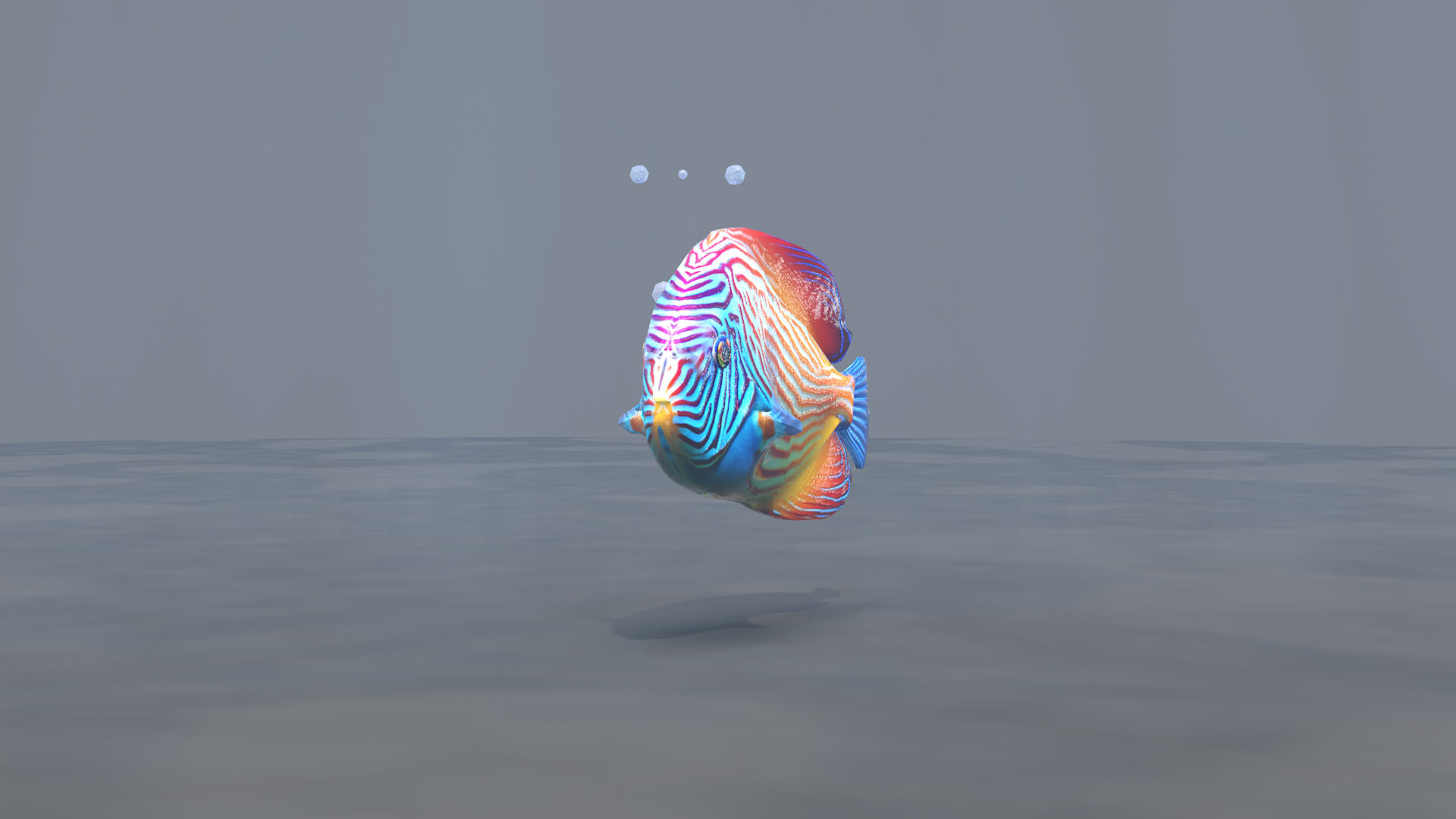 Marine Angelfish - 3D Model by renatodalle
