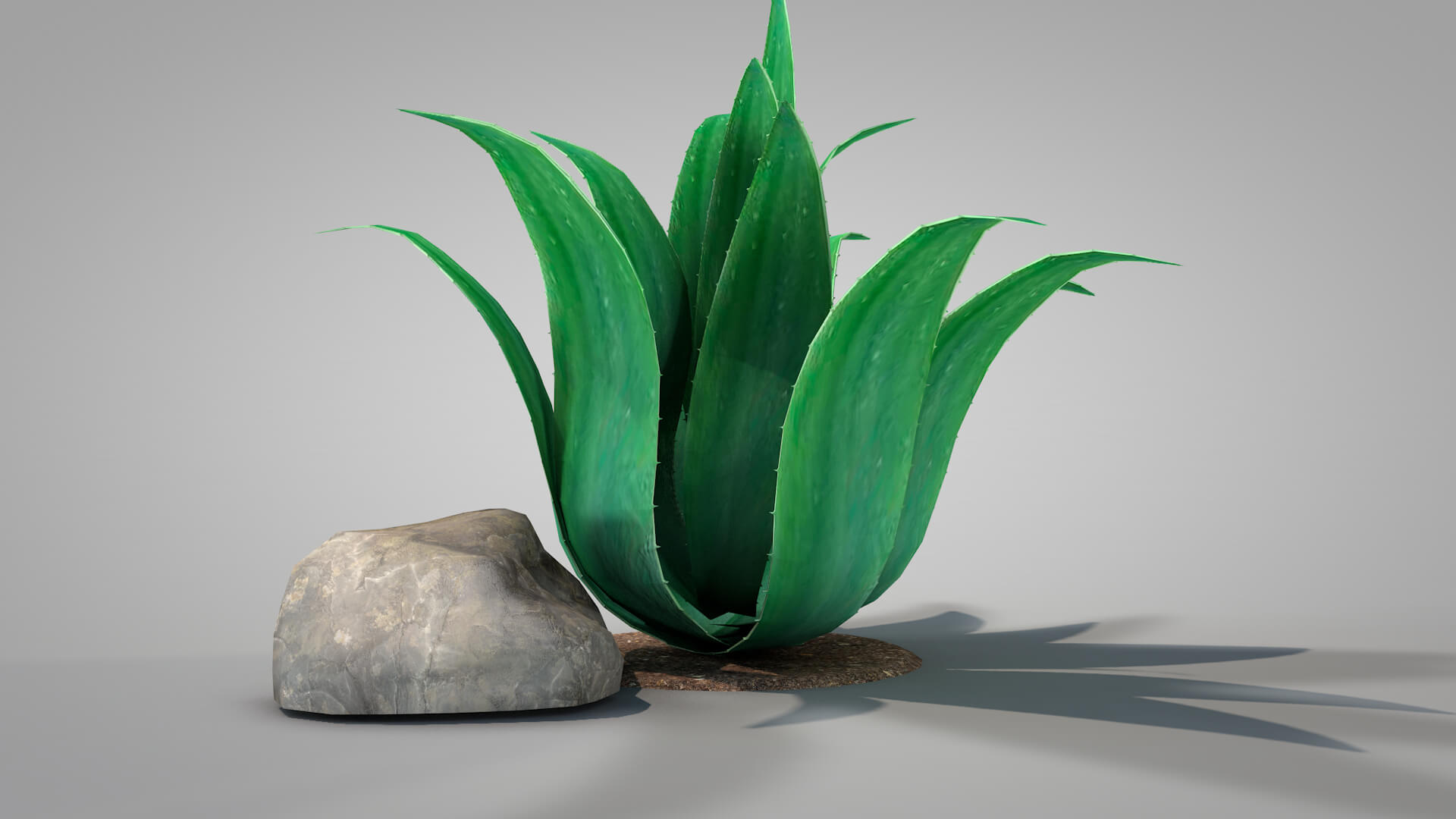 Plant Agave Family - 3D Model by renatodalle