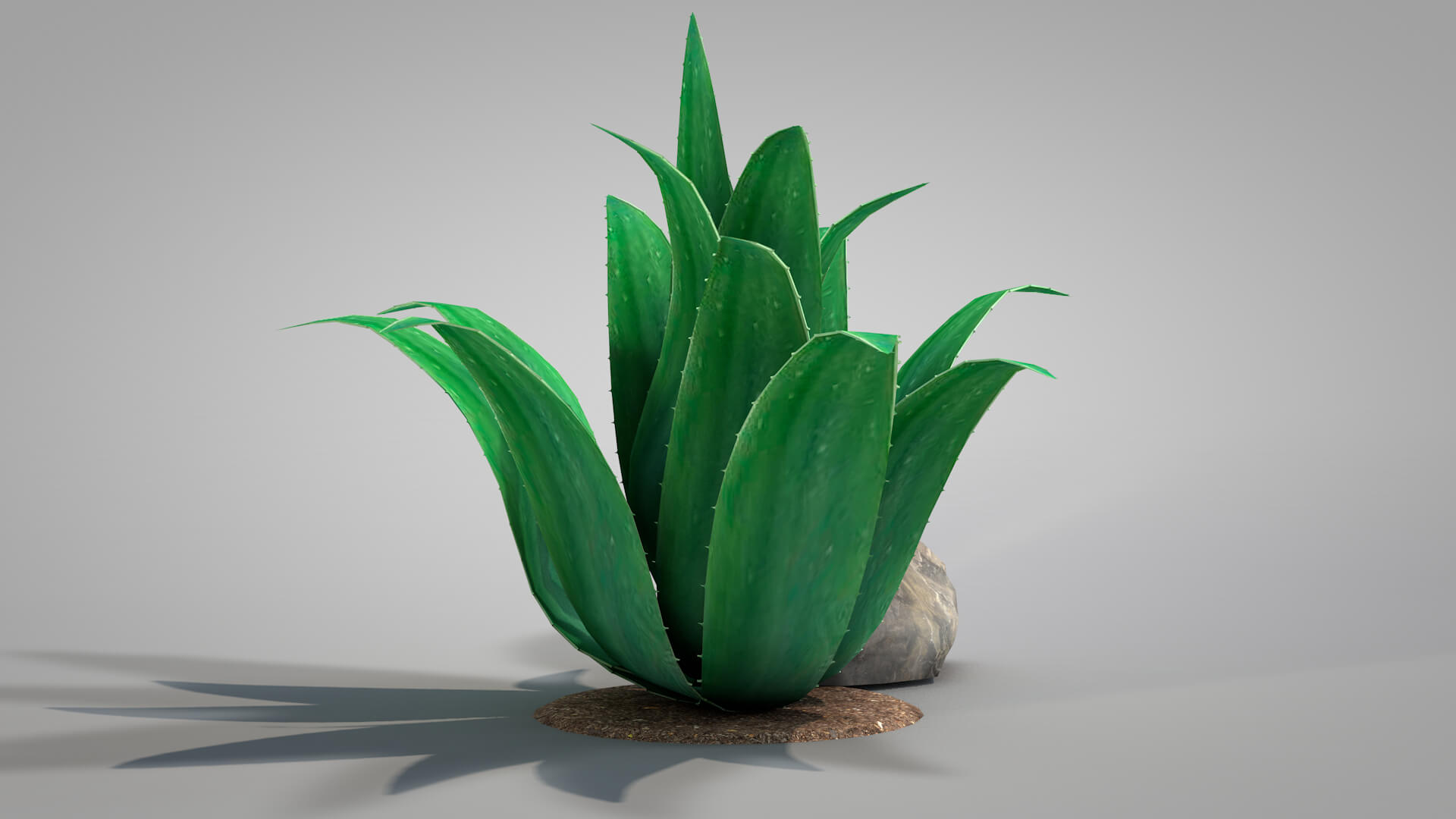Plant Agave Family - 3D Model by renatodalle